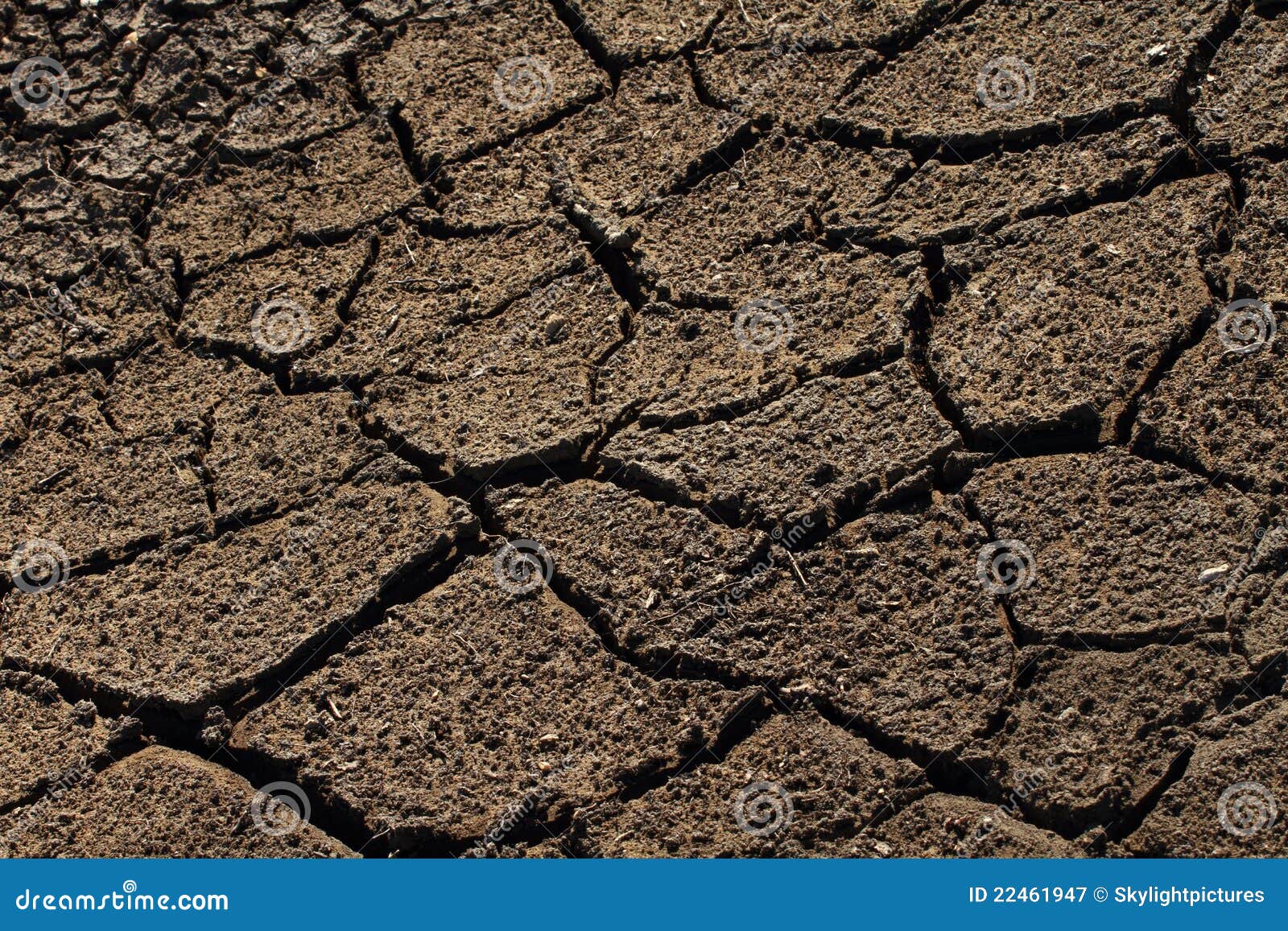 Parched Earth stock image. Image of grass, texture, parched - 22461947