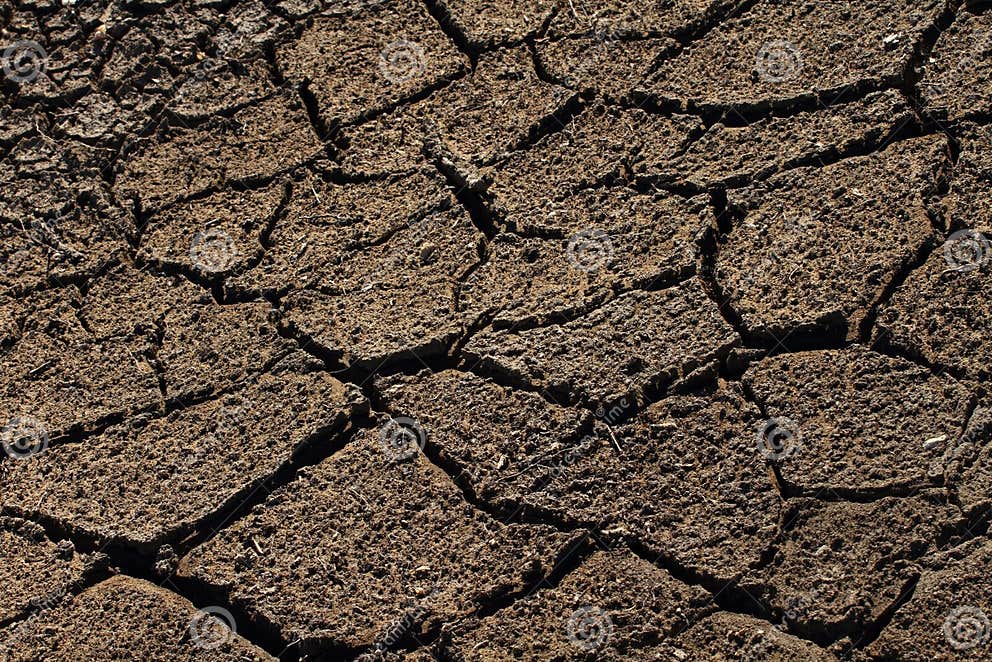 Parched Earth stock image. Image of grass, texture, parched - 22461947