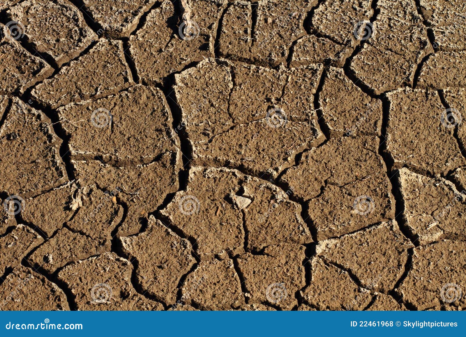 Parched Earth stock photo. Image of rock, grass, soil - 22461968
