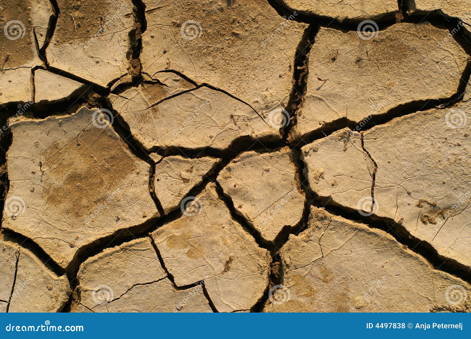 Parched Earth Picture. Image: 4497838