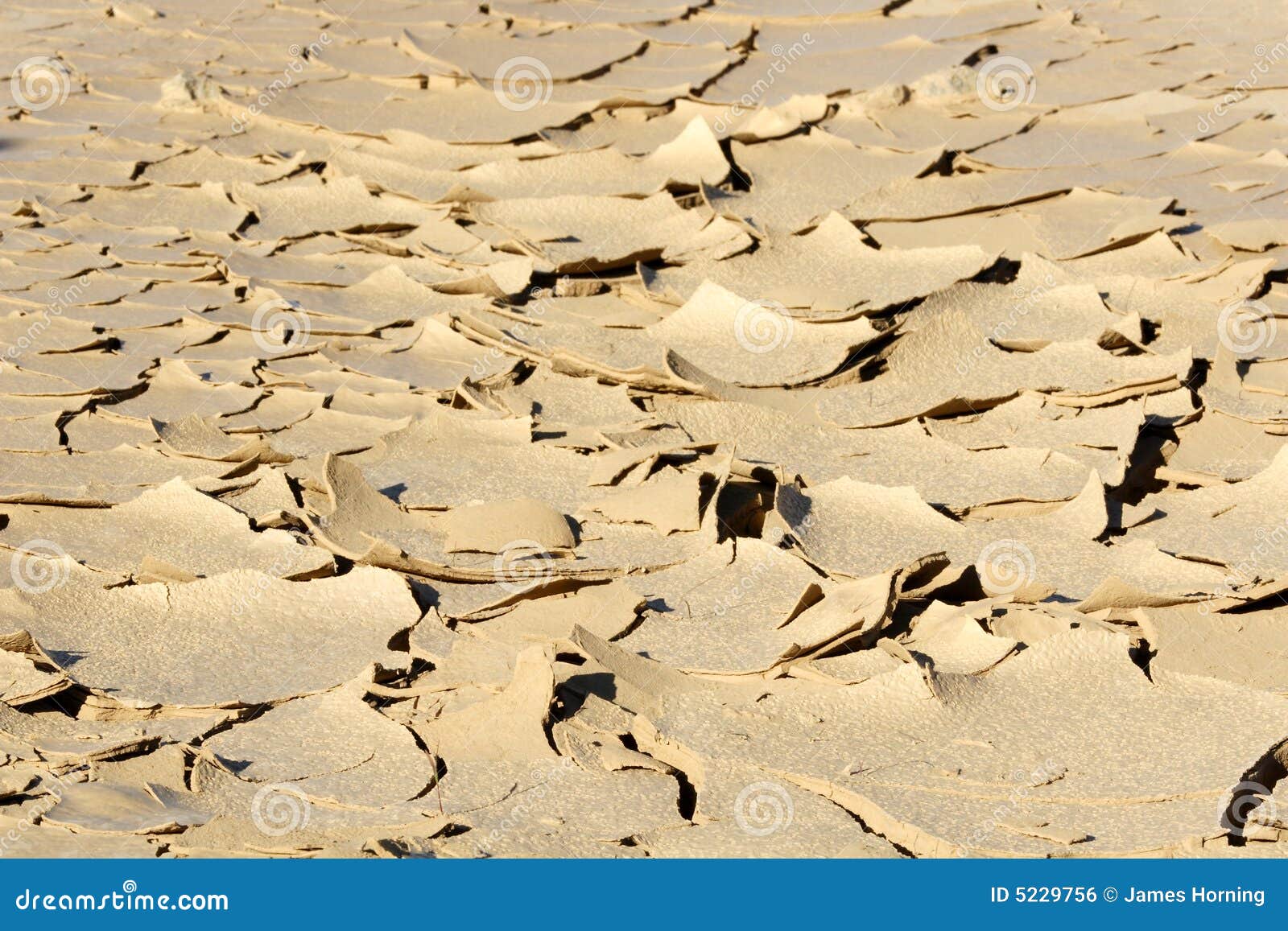 Parched earth stock photo. Image of sediment, evaporate - 5229756