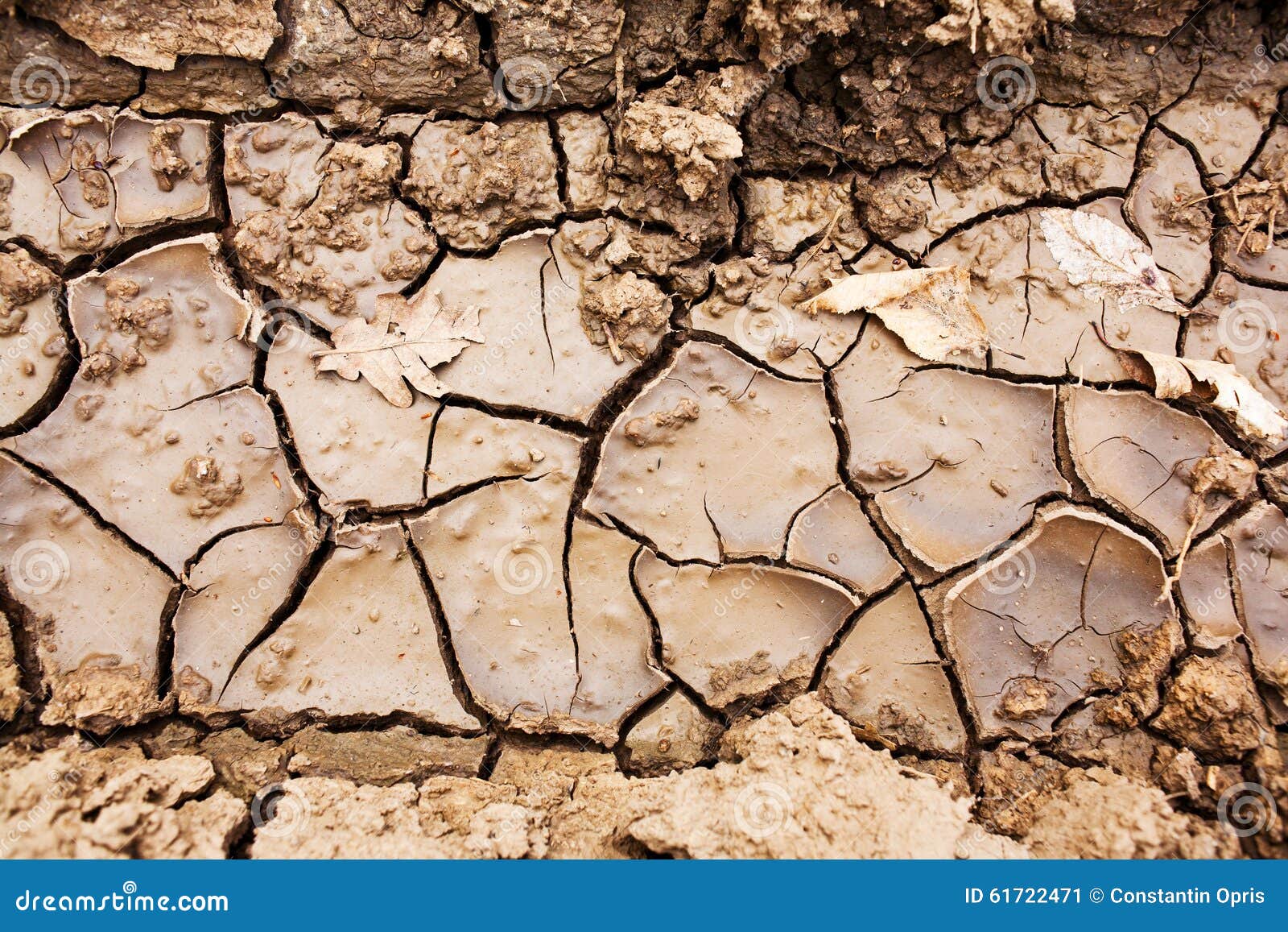 Parched earth stock image. Image of arid, detail, brown - 61722471