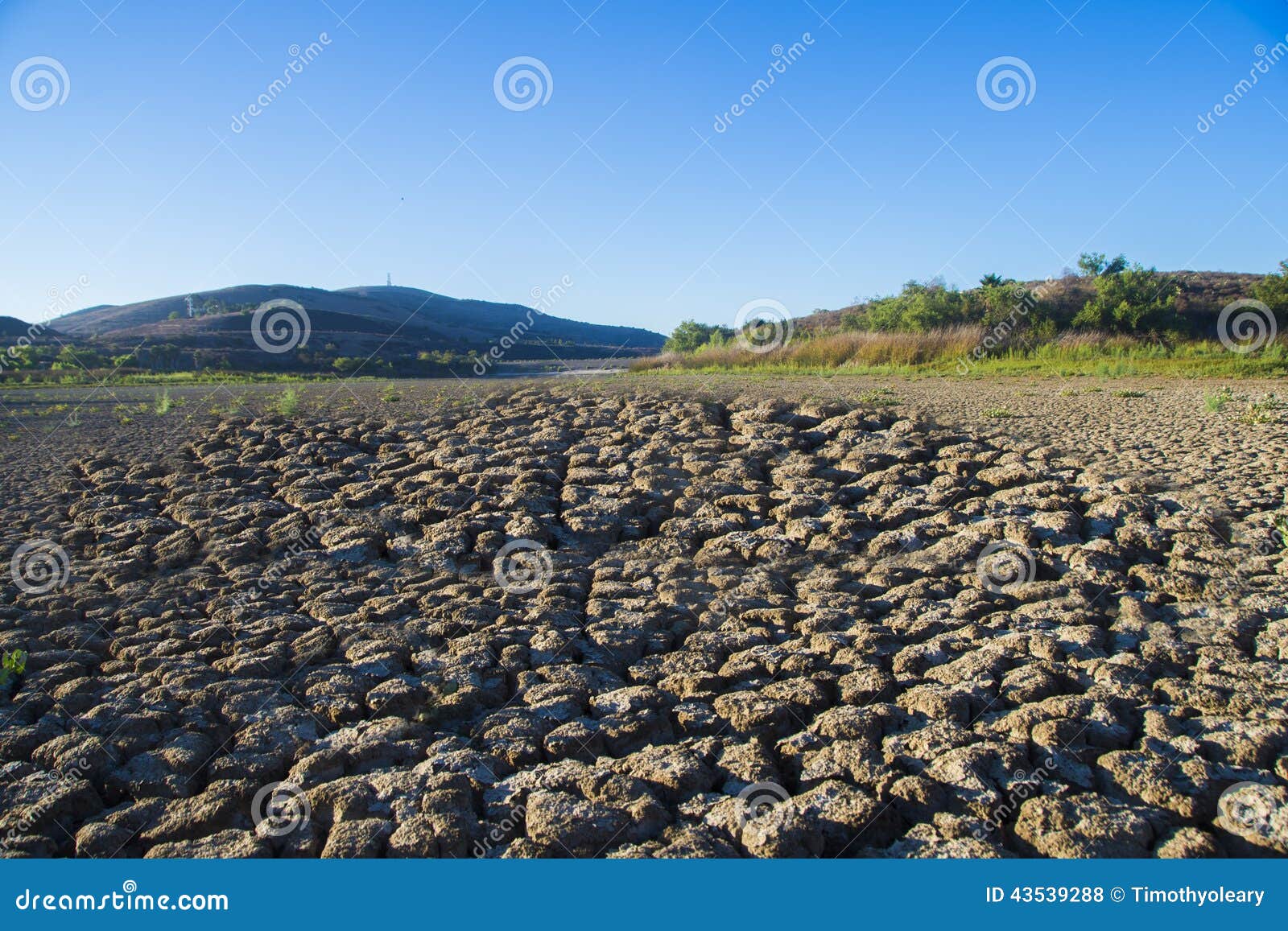 Parched Earth stock photo. Image of pattern, surface - 43539288