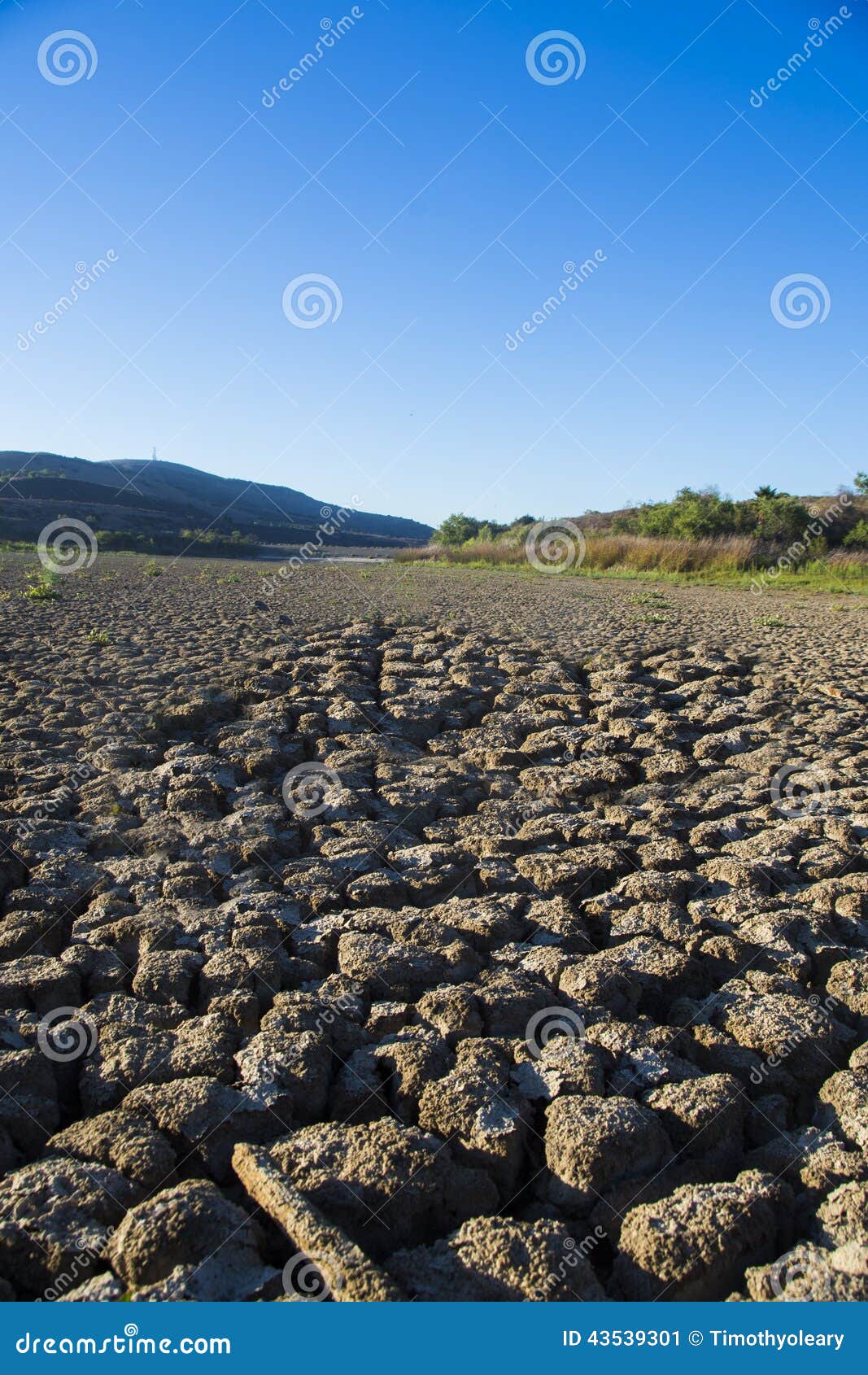 Parched Earth stock image. Image of global, climate, ecology - 43539301