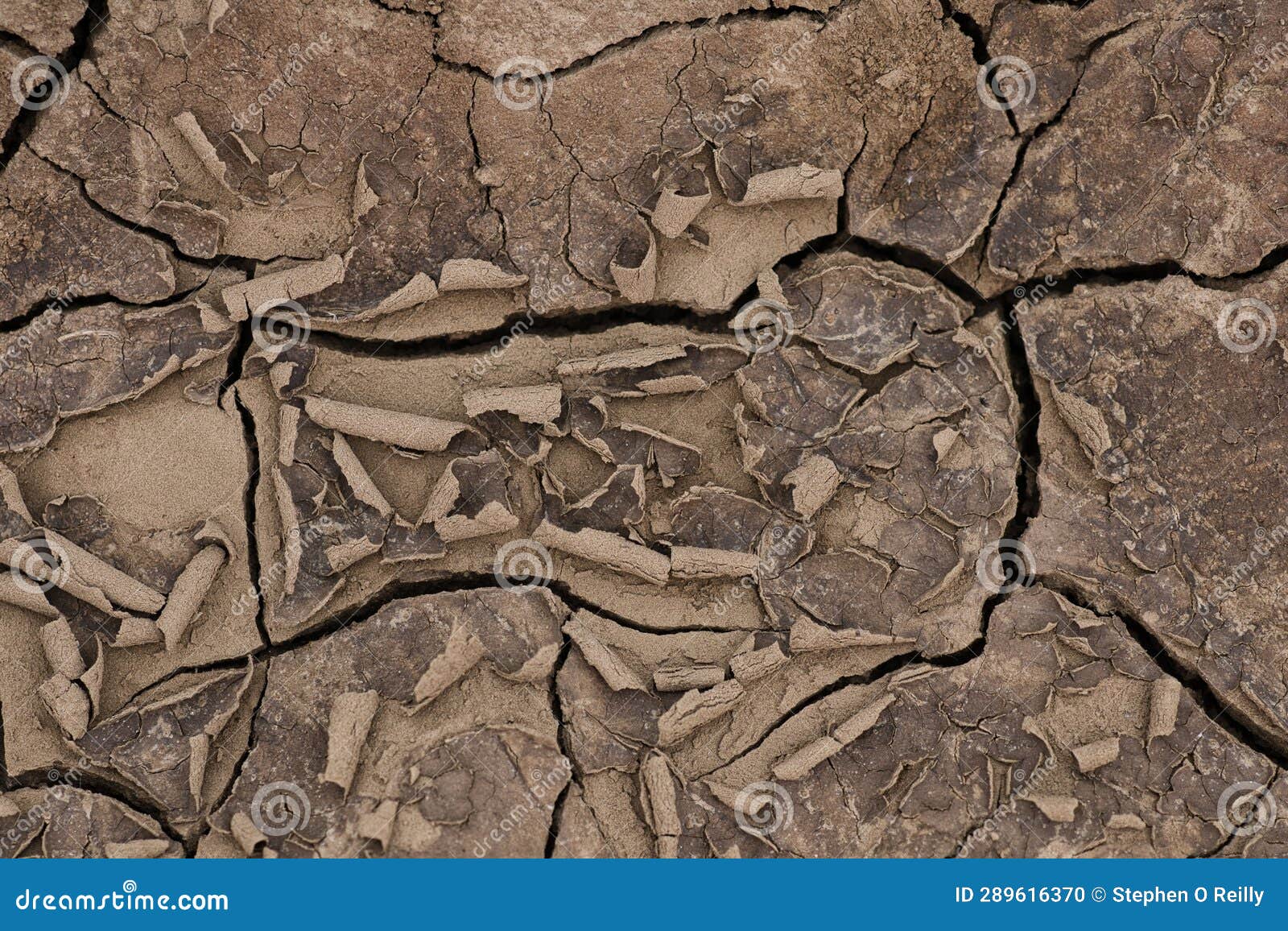 Parched Earth Dried Up Land River Bed Stock Photo - Image of land ...