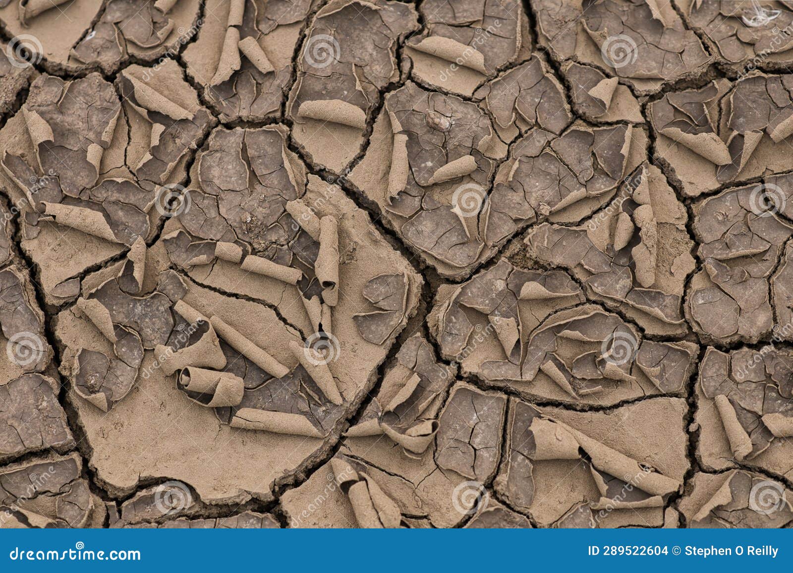 Parched Earth Dry River Bed Stock Photo - Image of river, earth: 289522604
