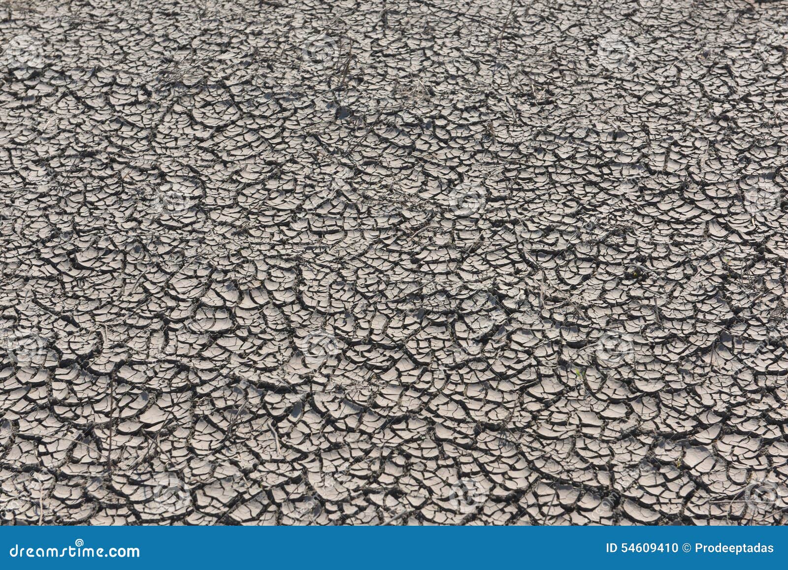 Parched earth stock photo. Image of drought, parched - 54609410