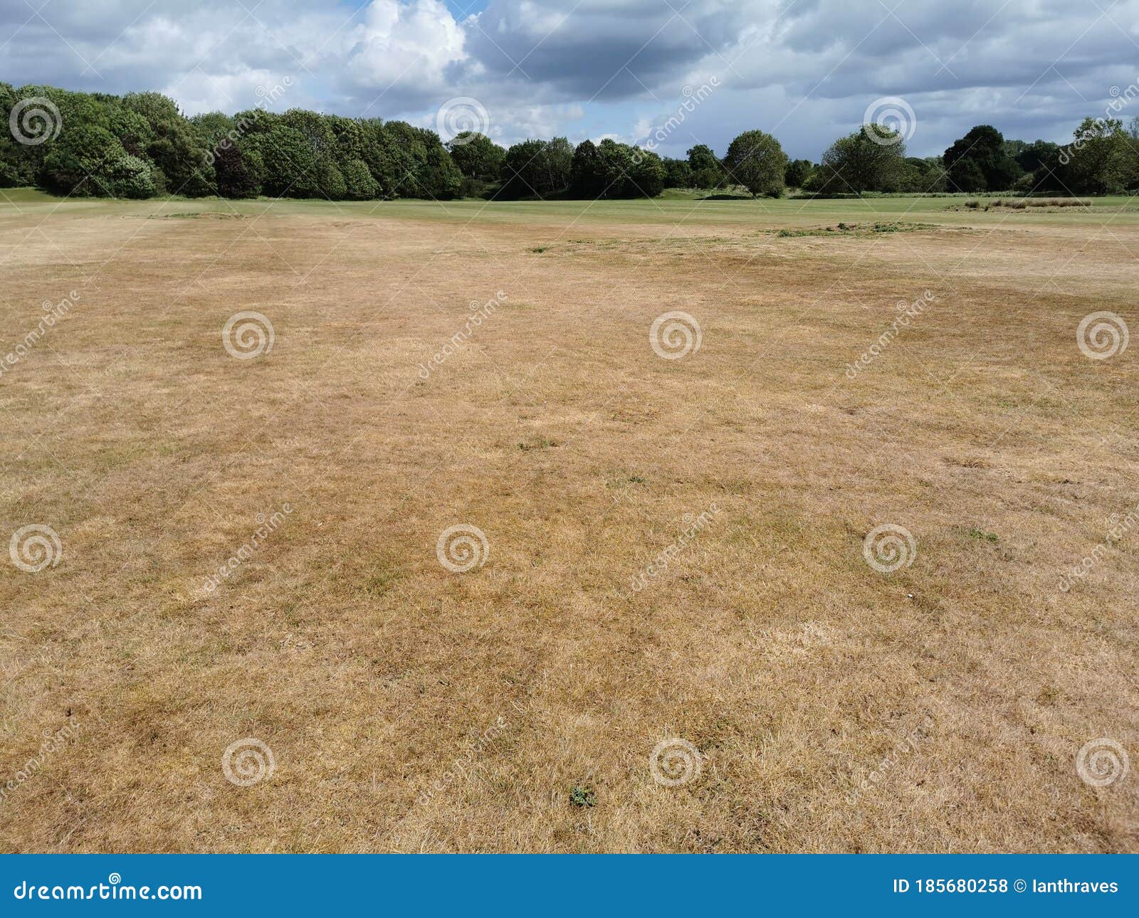 Parched Field and Dead Grass Stock Photo - Image of countryside, land ...