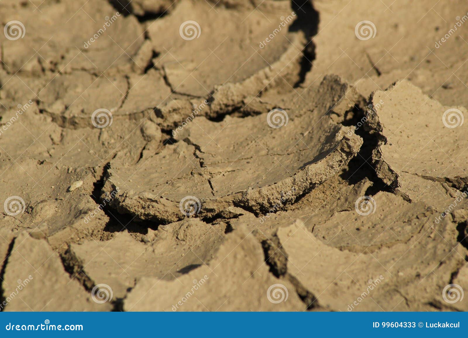 Parched ground stock image. Image of brown, grounddry - 99604333