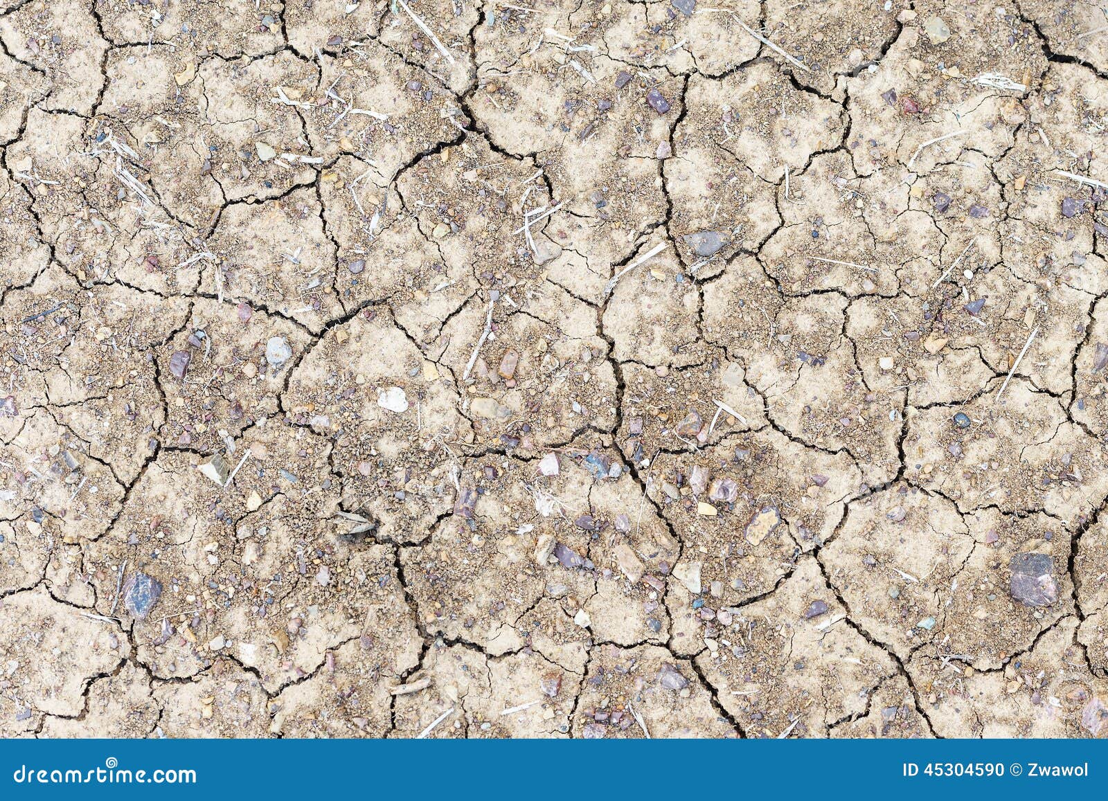 Parched ground stock photo. Image of arid, dead, geology - 45304590