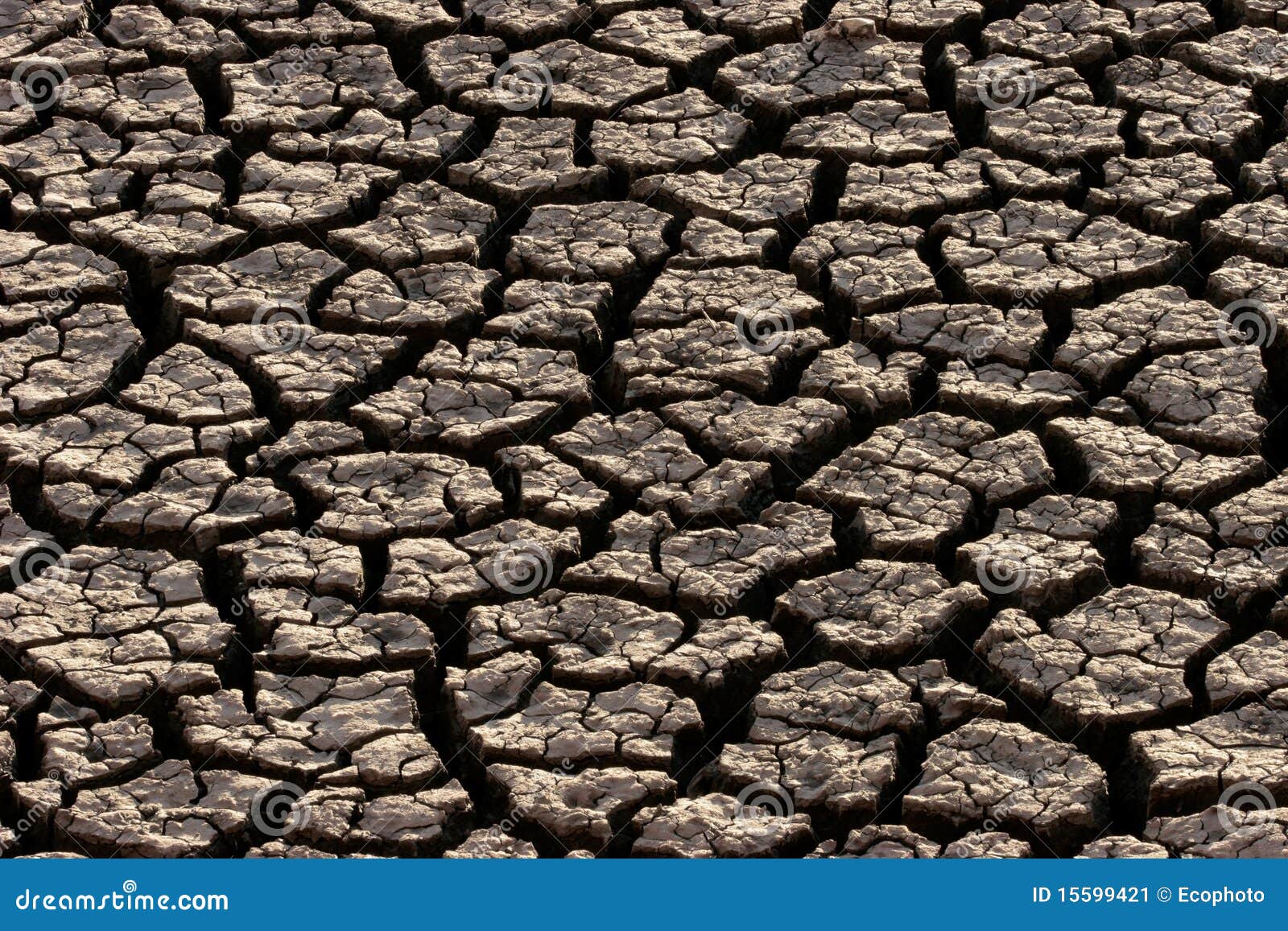 Parched land stock image. Image of waterless, soil, desert - 15599421