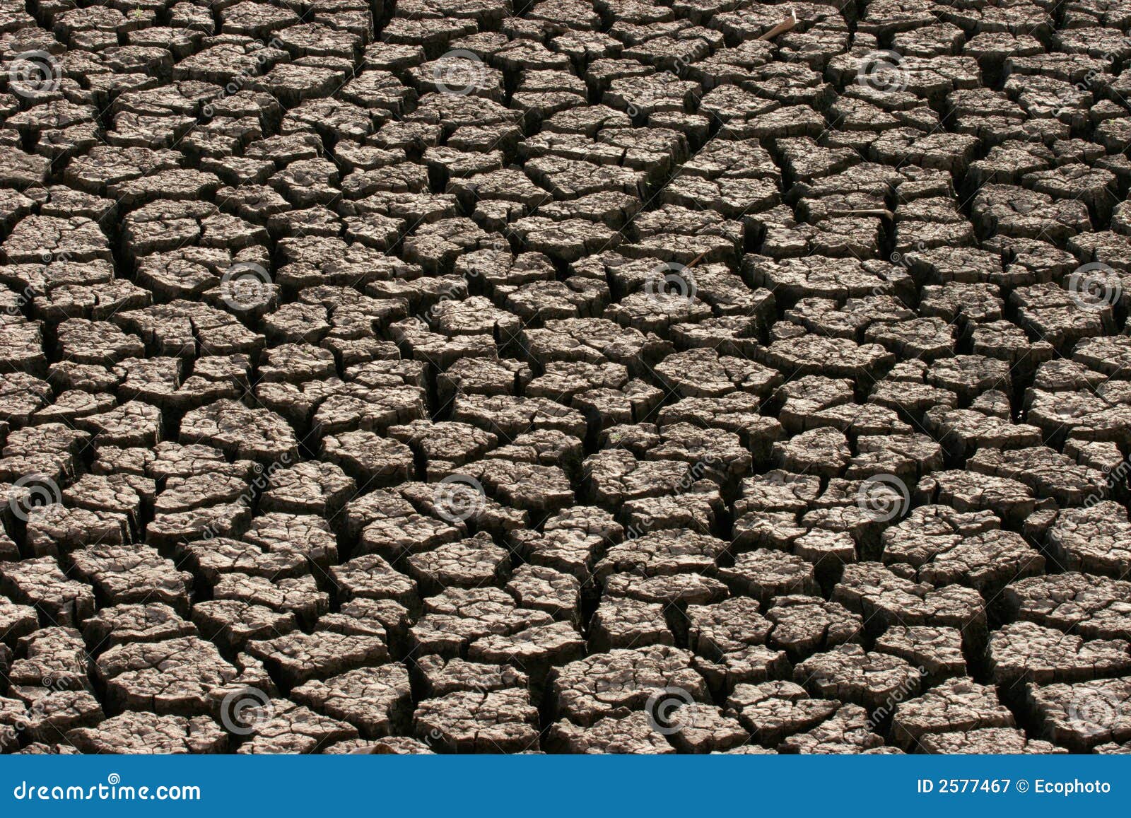 Parched land stock image. Image of infertility, natural - 2577467