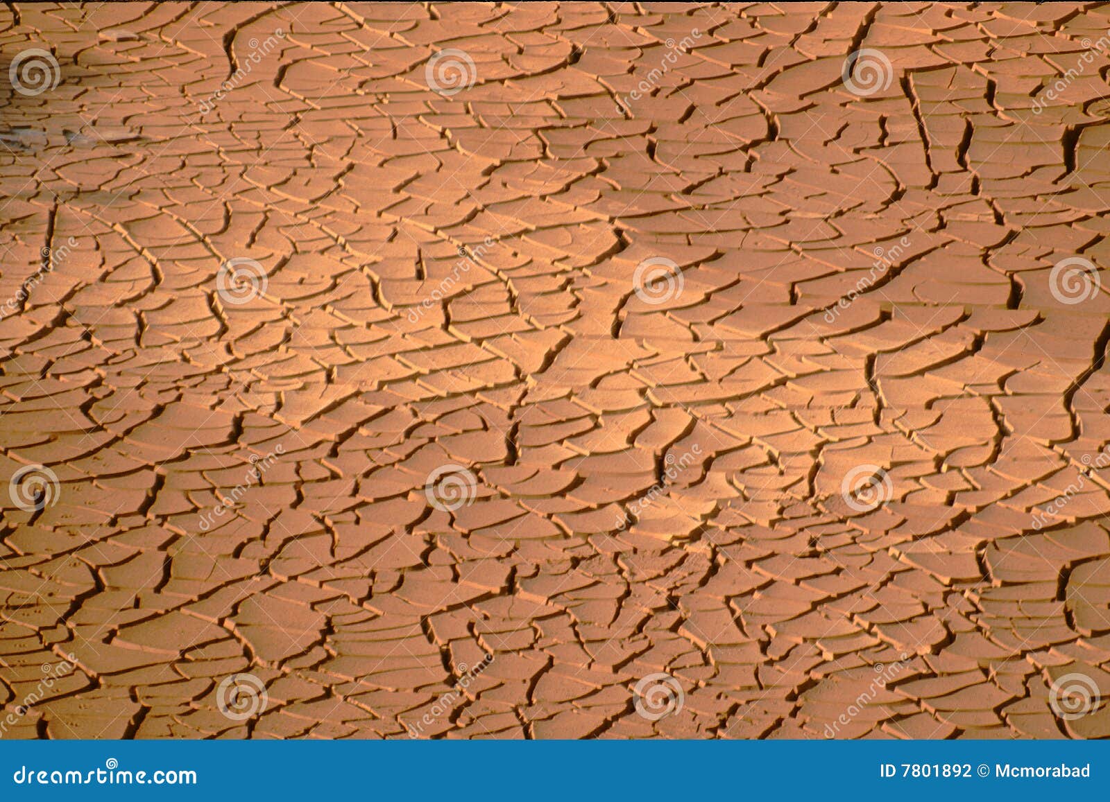 Parched Land stock photo. Image of blisters, scorched - 7801892