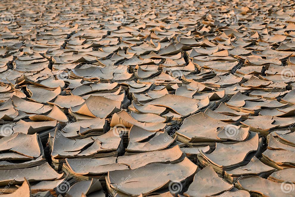 Parched land stock photo. Image of environment, geology - 35010152