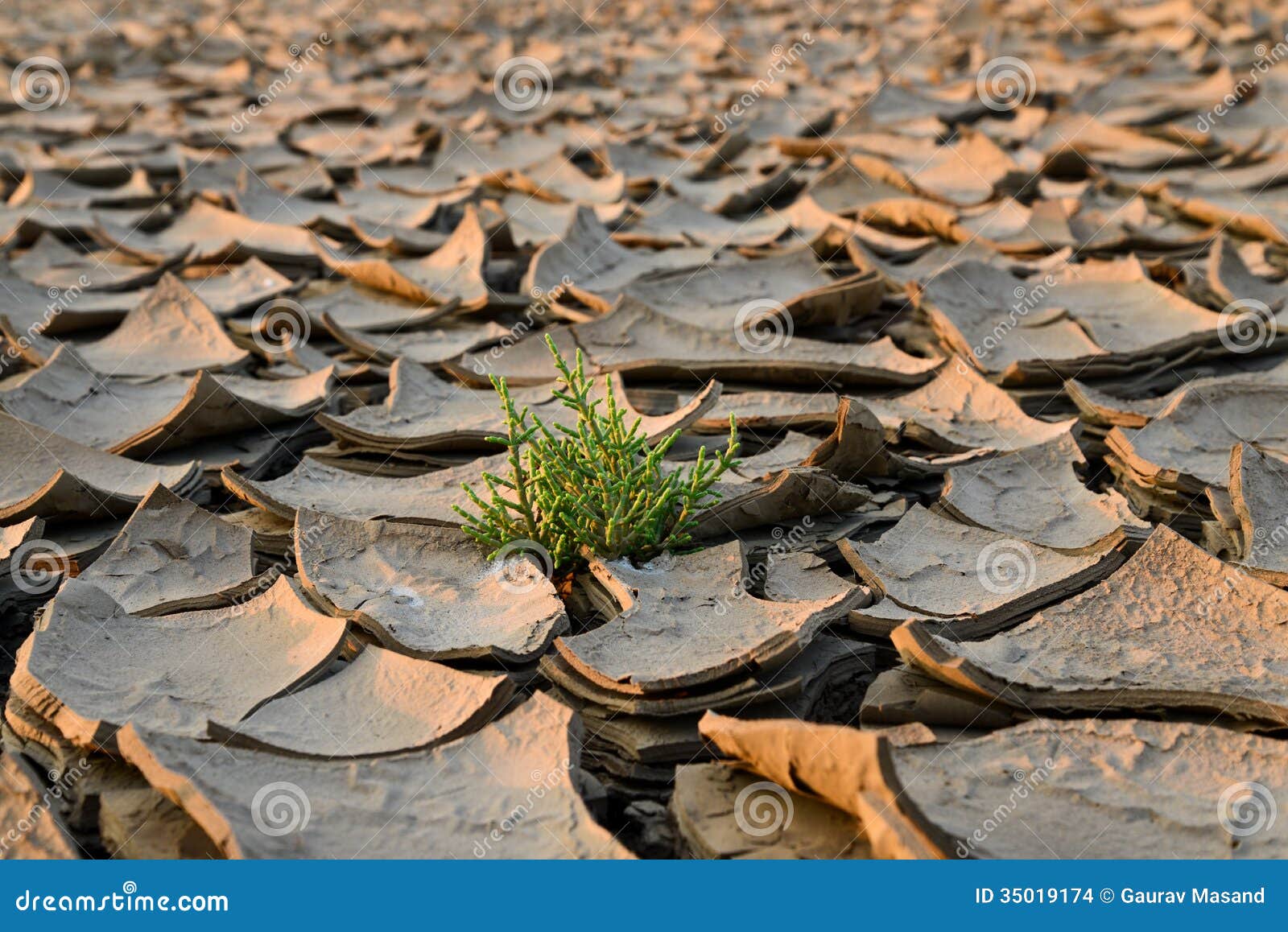 Parched land stock photo. Image of environmental, drought - 35019174