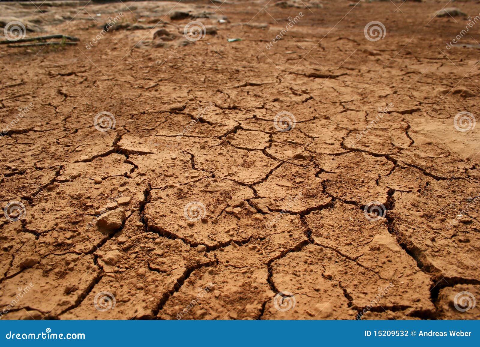 Parched Land after a Hot Summer Stock Photo - Image of arid ...