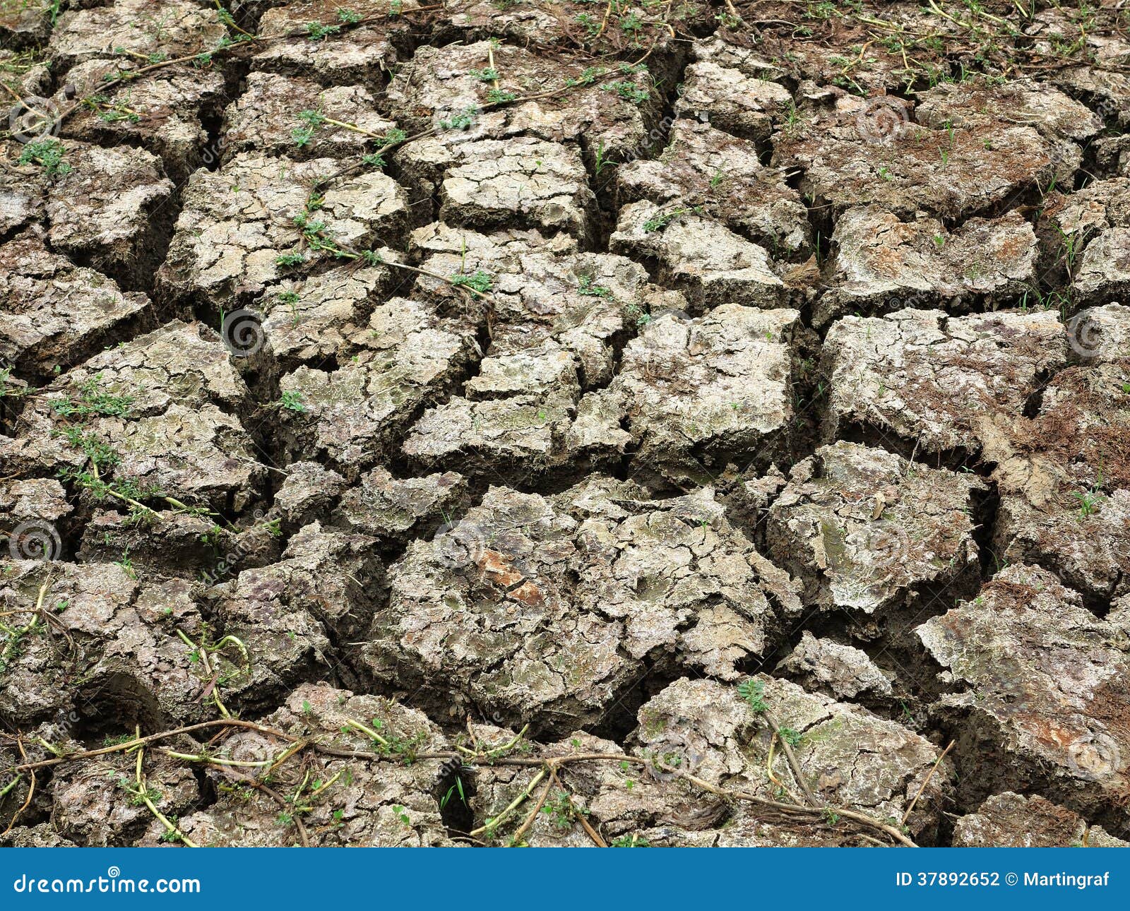 Dry Parched Australian Farmland During Hot Summer Drought Stock ...