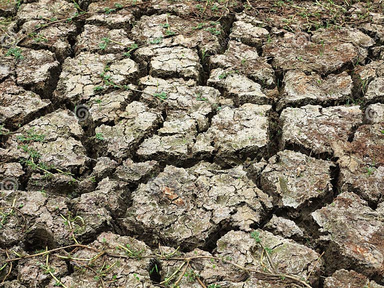 Parched land close-up stock photo. Image of agriculture - 37892652