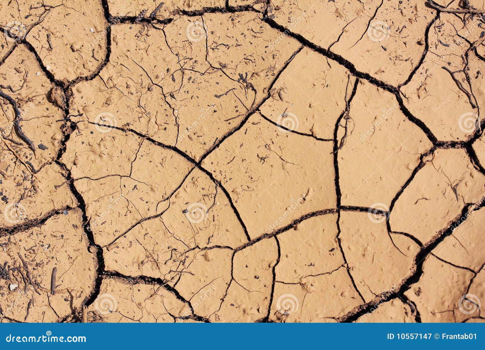 Parched soil stock image. Image of earth, extreme, dirt - 10557147