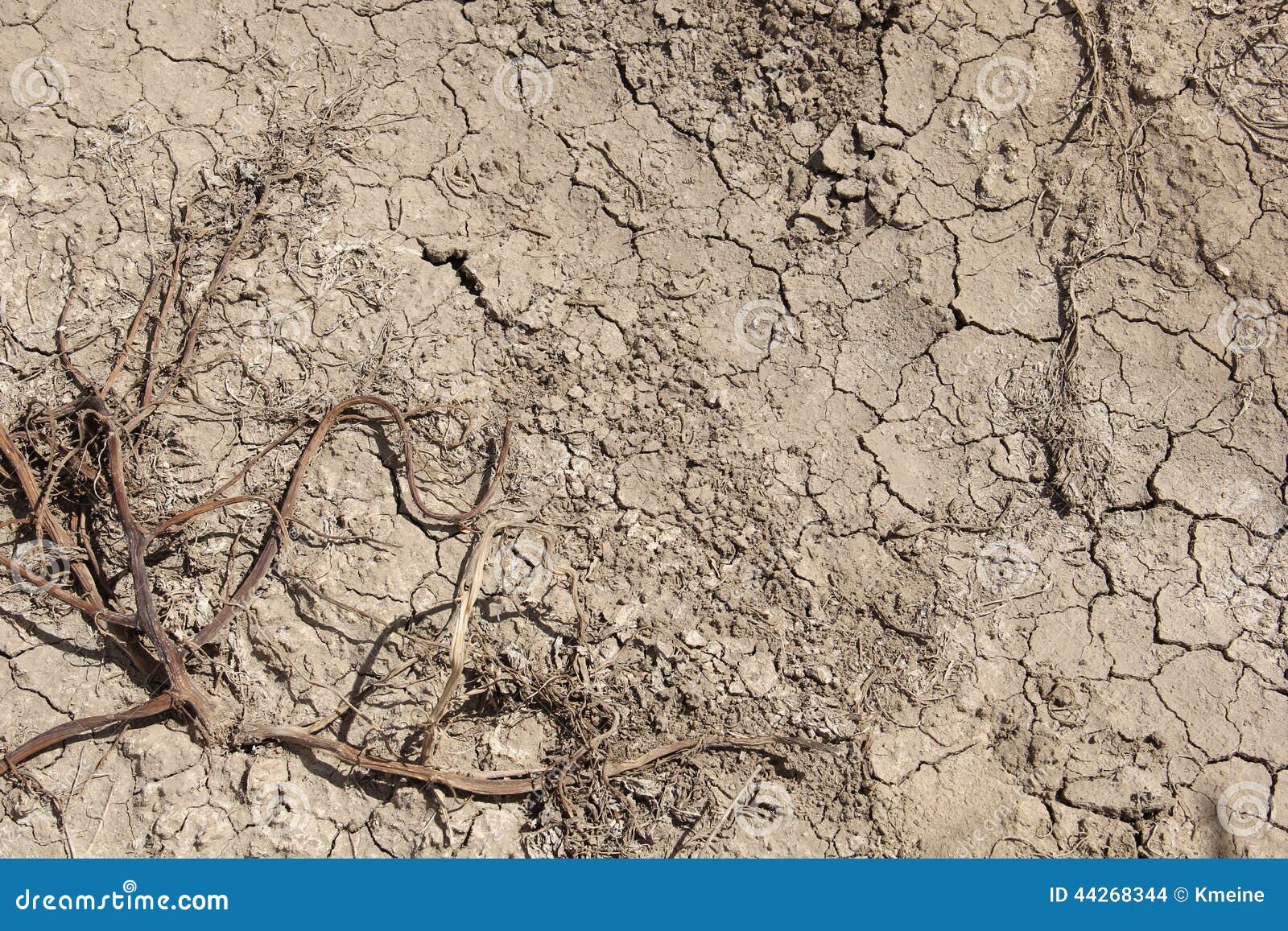 Parched Soil Dead Vegetation Plant Stock Photos - Free & Royalty-Free ...