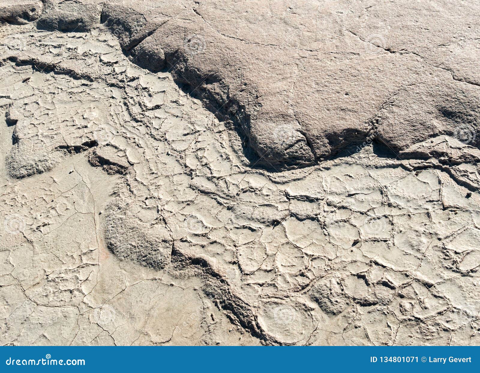 Parched Soil in the Southwest Desert Stock Image - Image of desolate ...