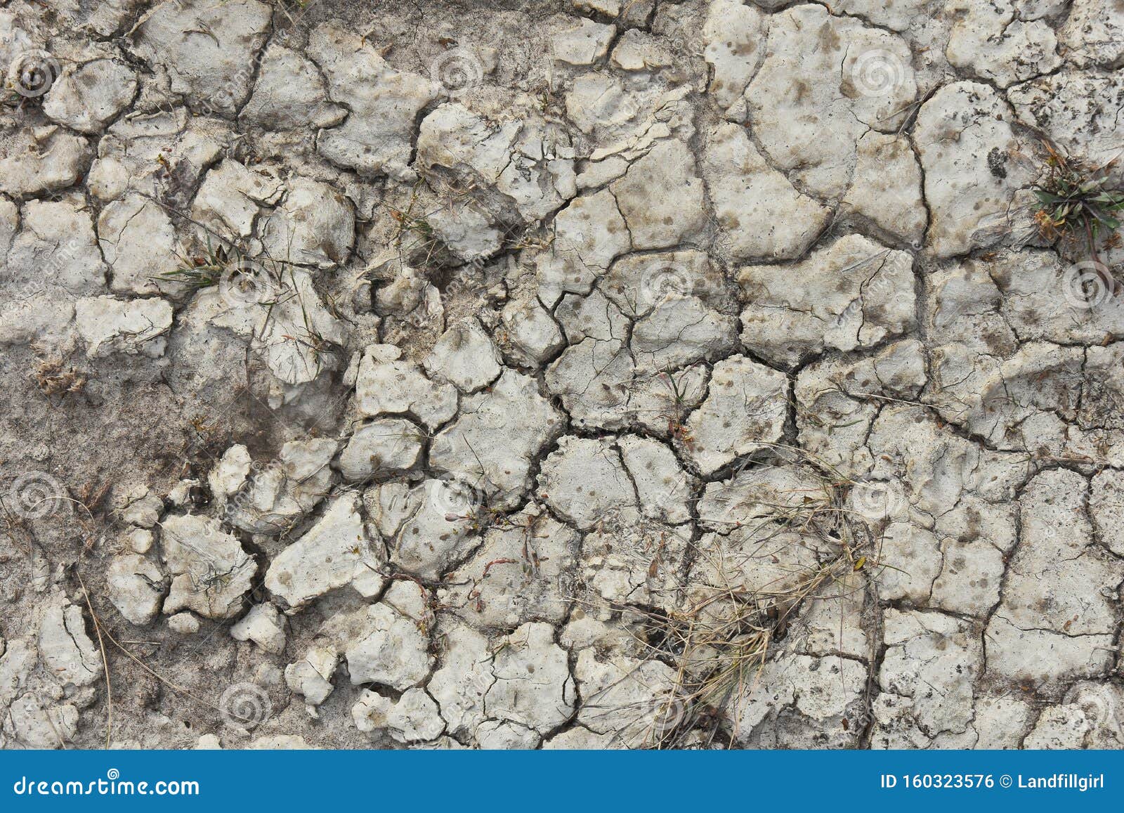Parched Soil Texture stock photo. Image of ground, nature - 160323576