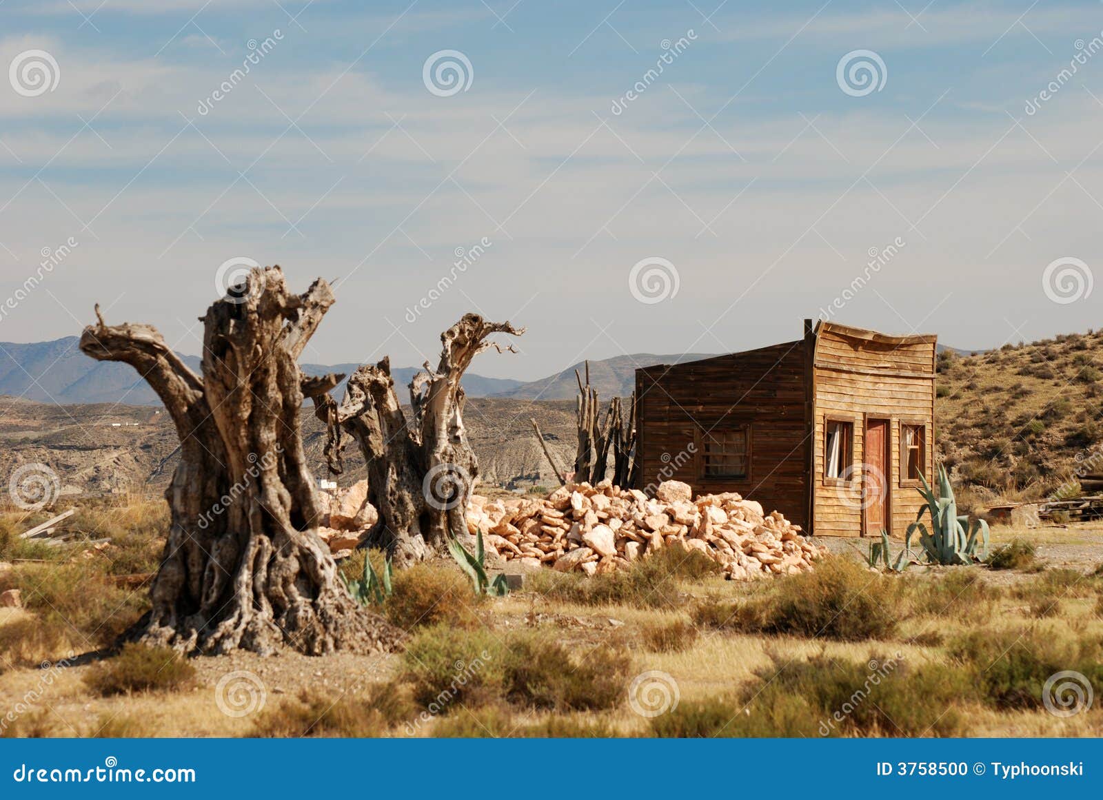 Parched Trees in a Spanish Desert Stock Photo - Image of climate ...
