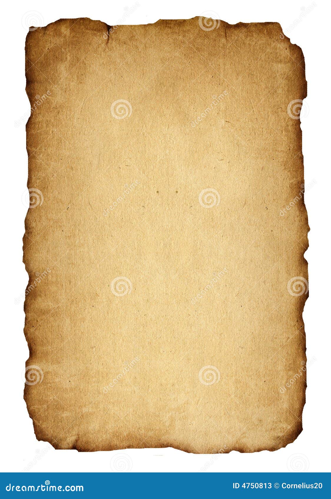 Parchment stock illustration. Illustration of manufacture - 4750813