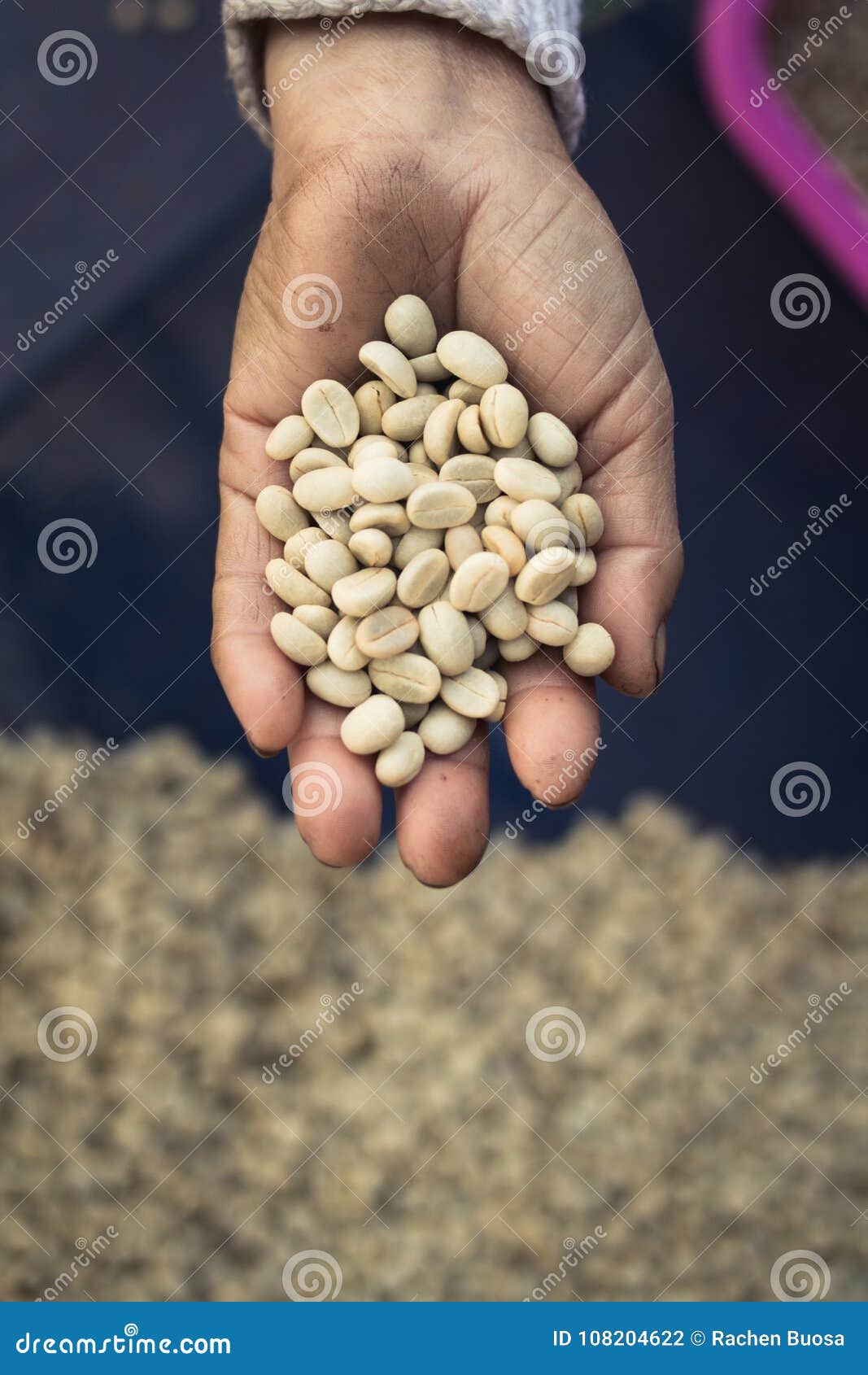 Parchment coffee in hand stock photo. Image of parchment - 108204622