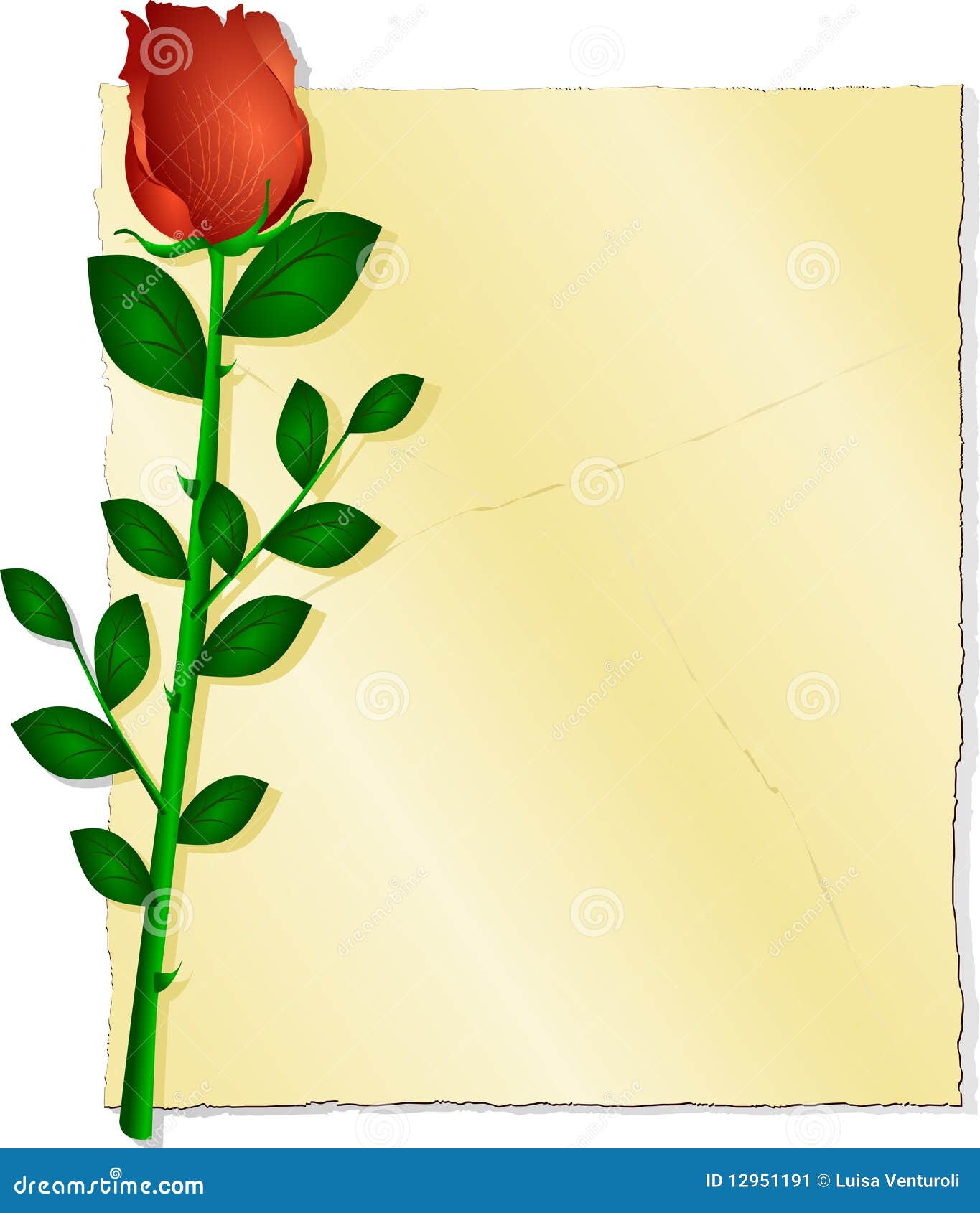 Parchment Paper with a Red Rose Stock Illustration - Illustration of ...