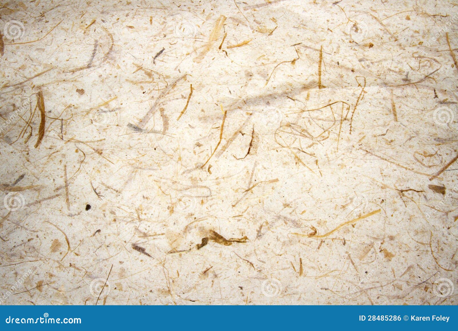 Parchment Paper Texture stock photo. Image of concept - 28485286