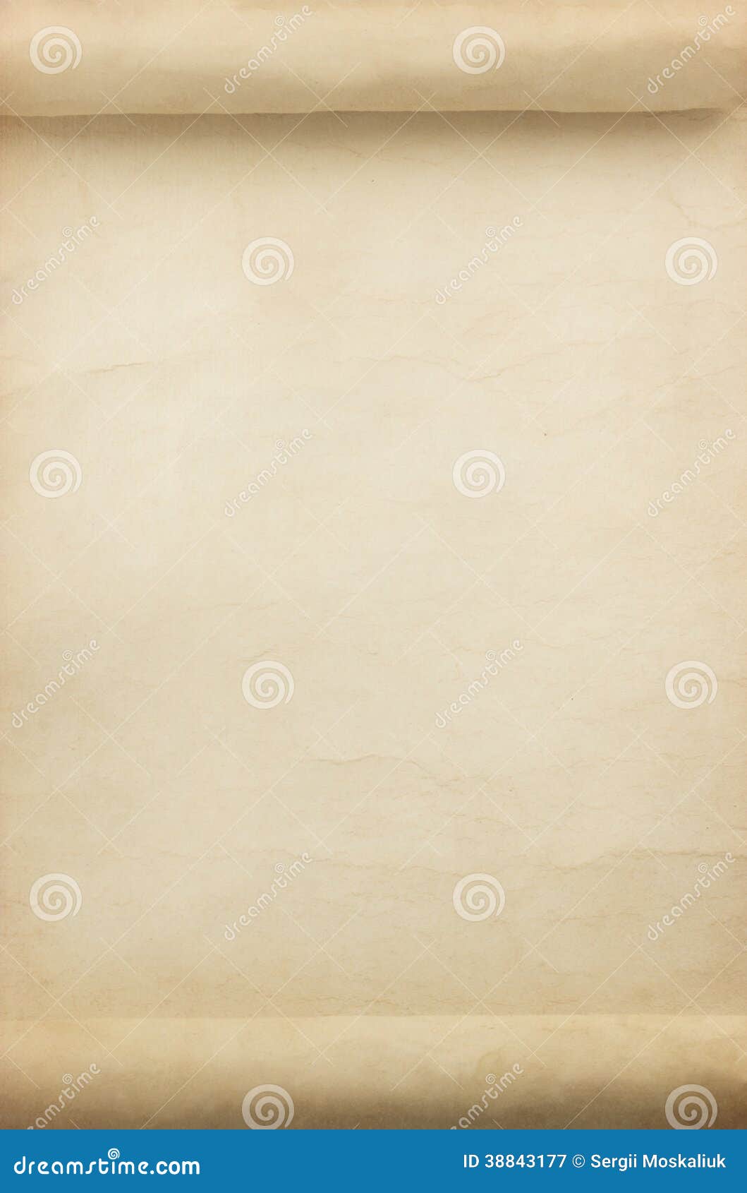 Blank Constitution Paper