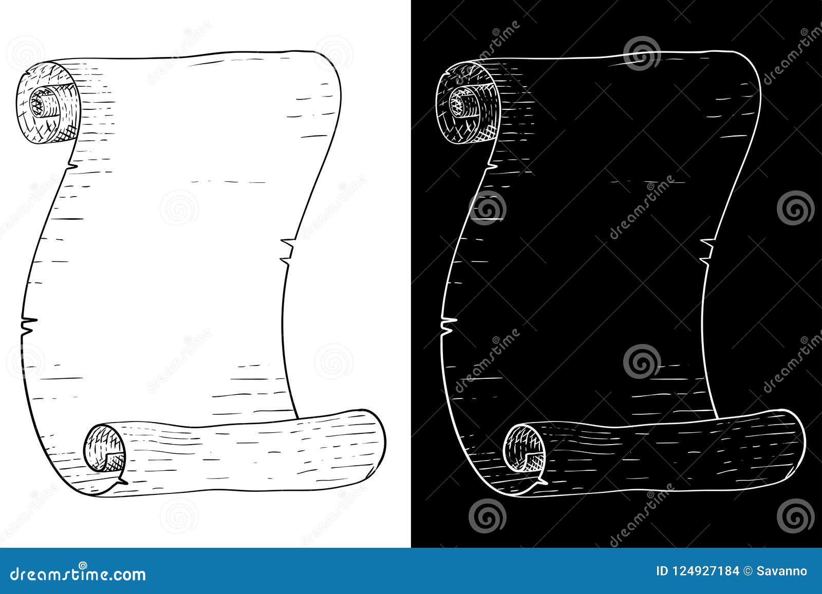 Parchment Scroll. Hand Drawn Sketch Stock Vector - Illustration of ...
