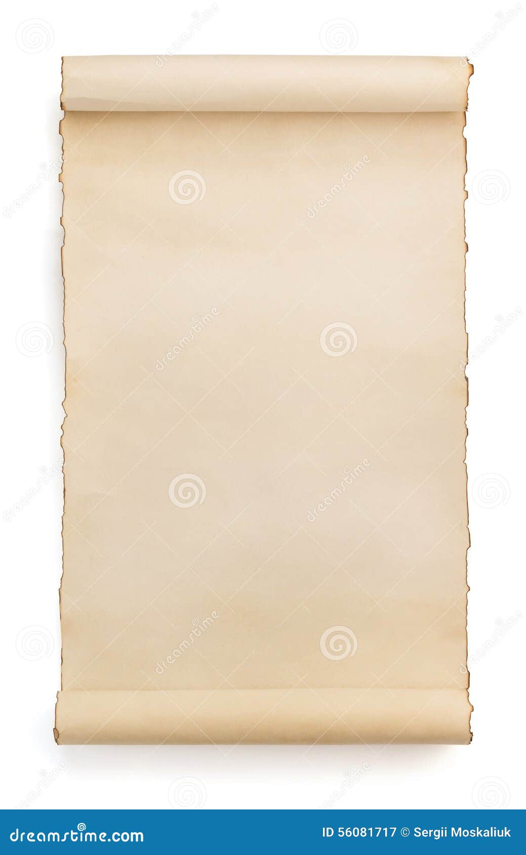 Parchment Scroll Isolated on White Stock Image - Image of concept ...