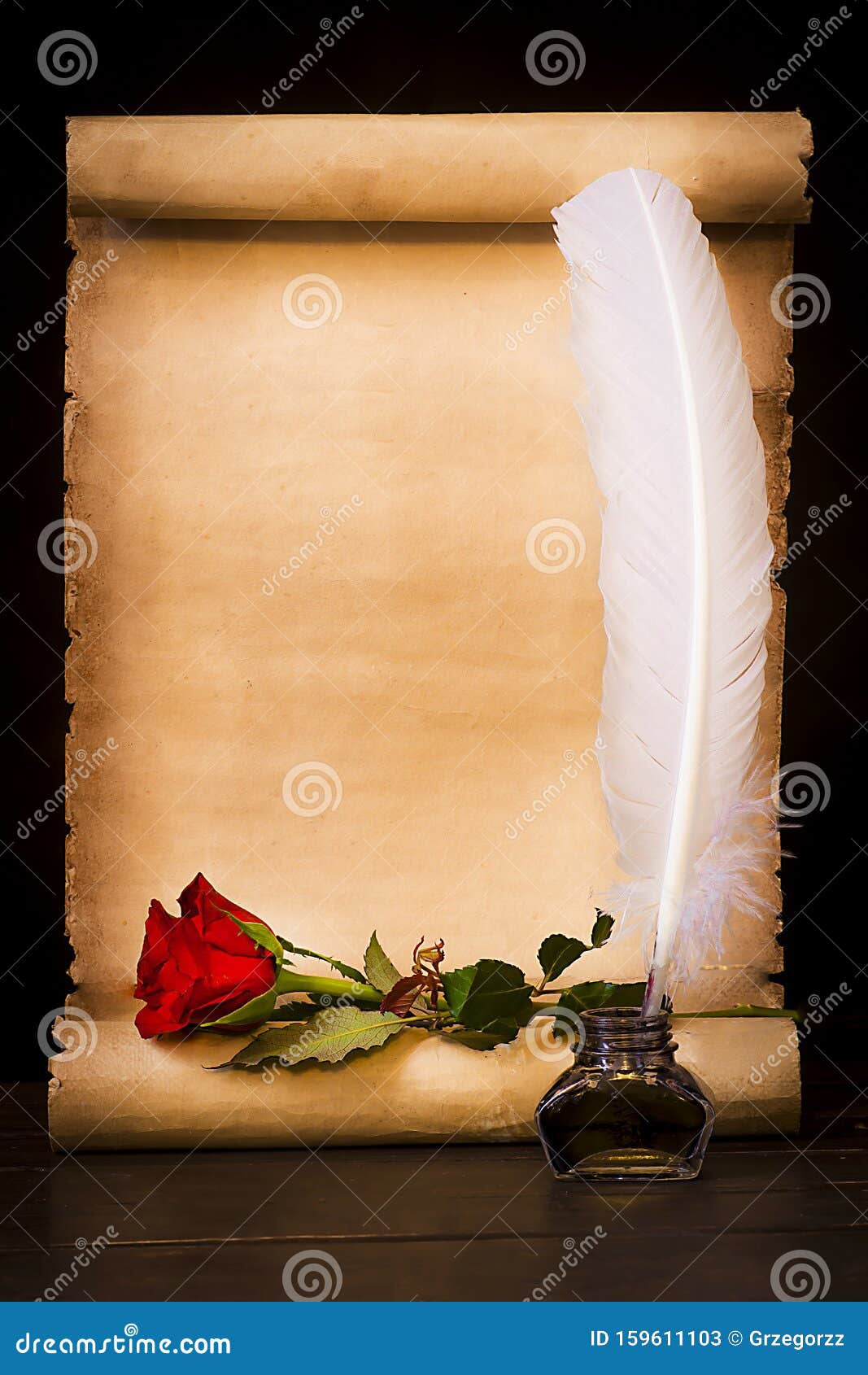 Parchment Scroll, Red Rose and Feather Stock Image - Image of hand ...