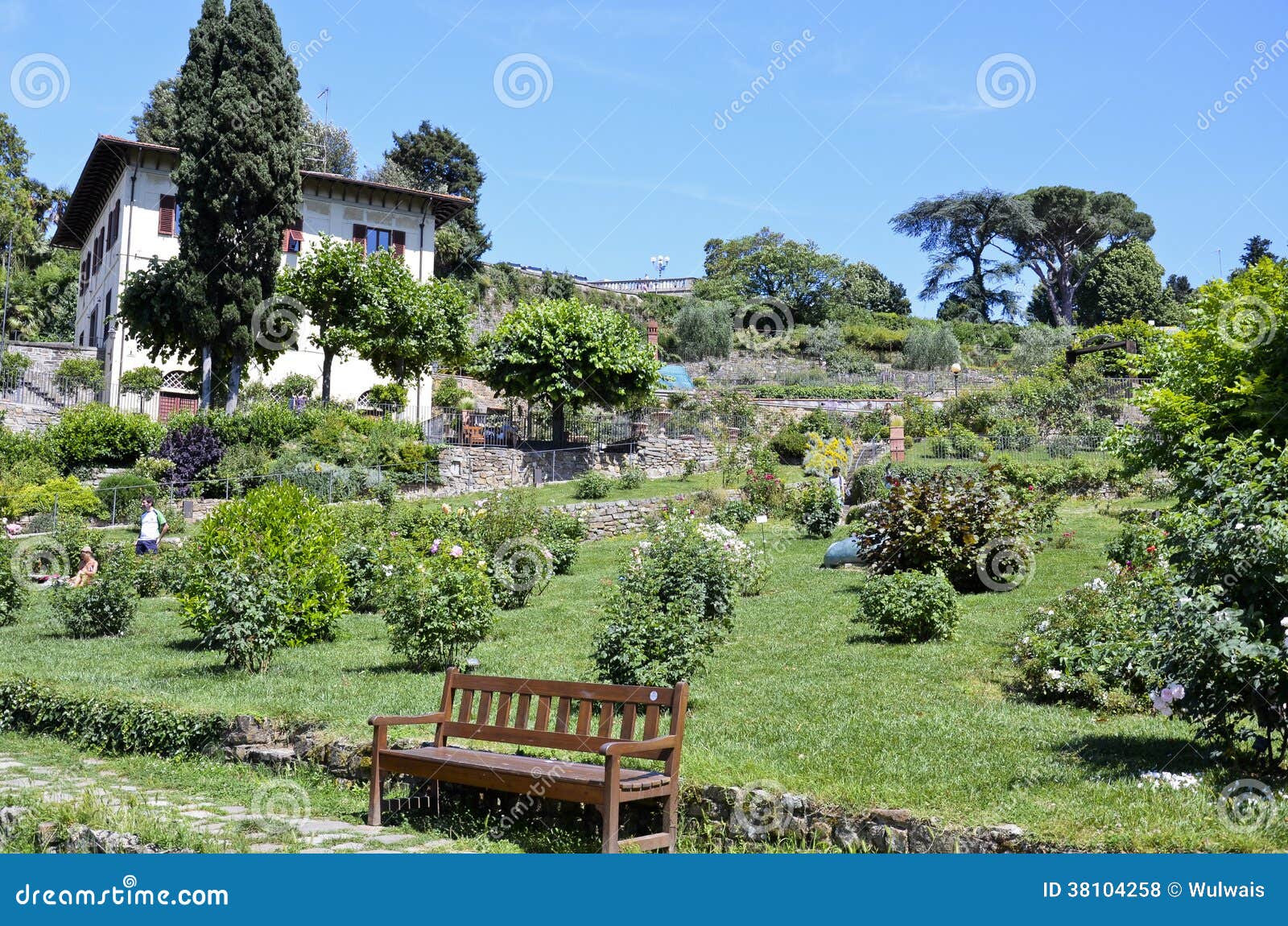 Parco delle rose, Firenze fotografia stock. Immagine di manutenzione ...