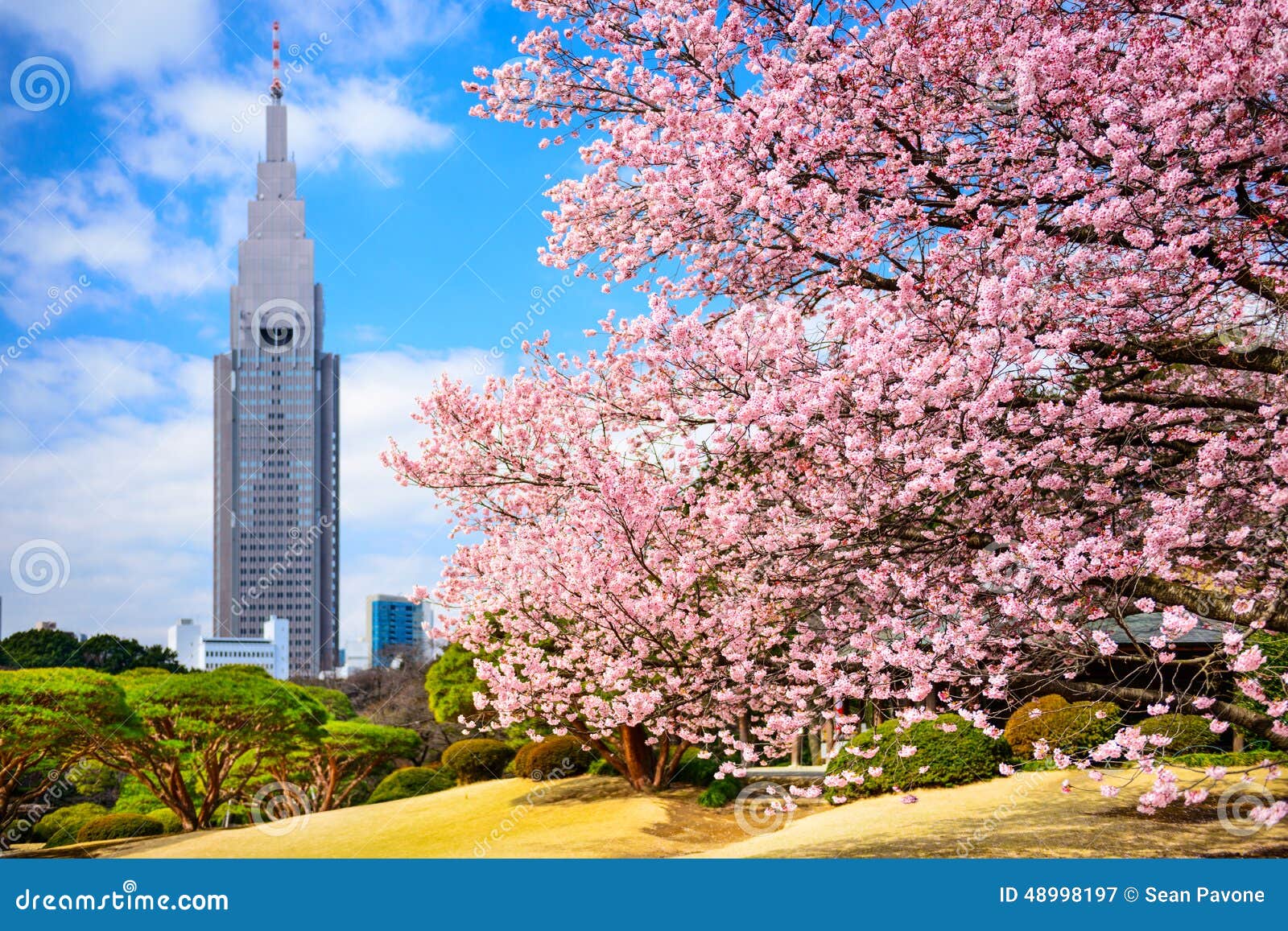 Parco Di Tokyo in Primavera Immagine Stock - Immagine di aperto ...