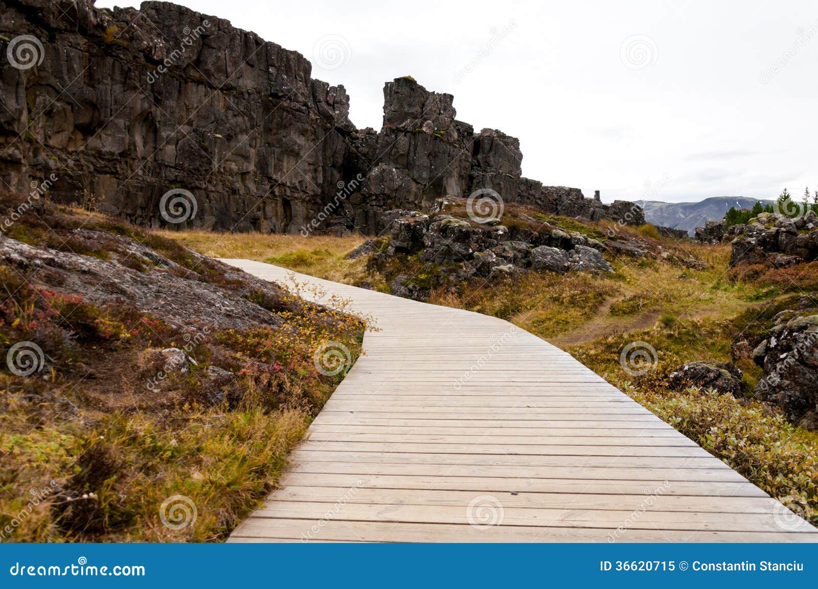Parco Nazionale Di Thingvellir, Islanda Immagine Stock - Immagine di ...
