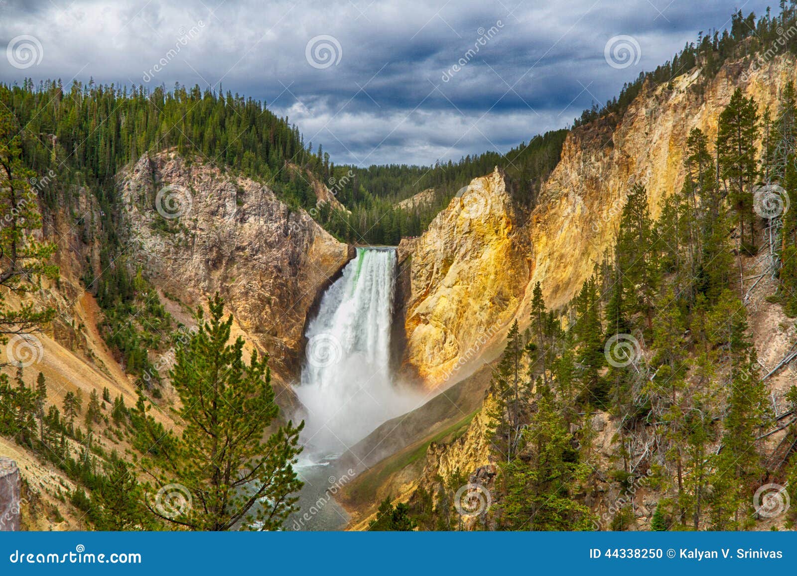 Parco Nazionale Di Yellowstone Fotografia Stock - Immagine di ...