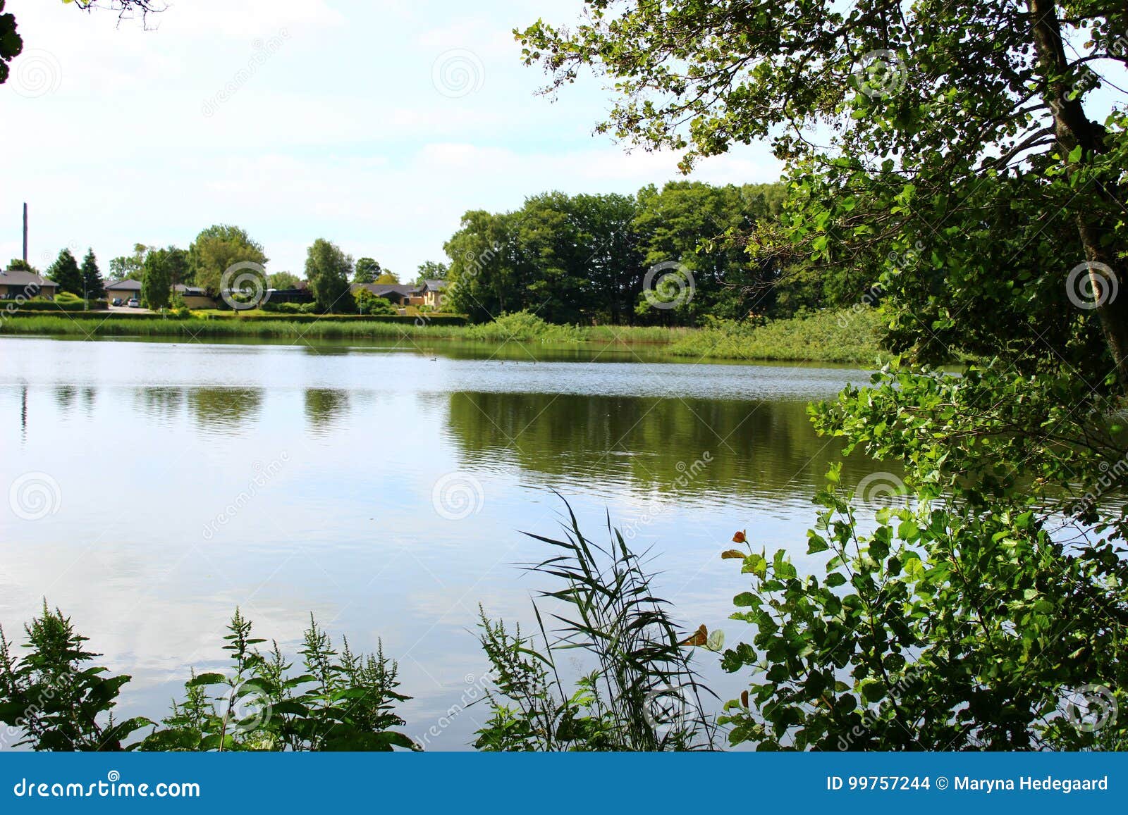 Parcs et lacs du Danemark photo stock. Image of réflexion - 99757244