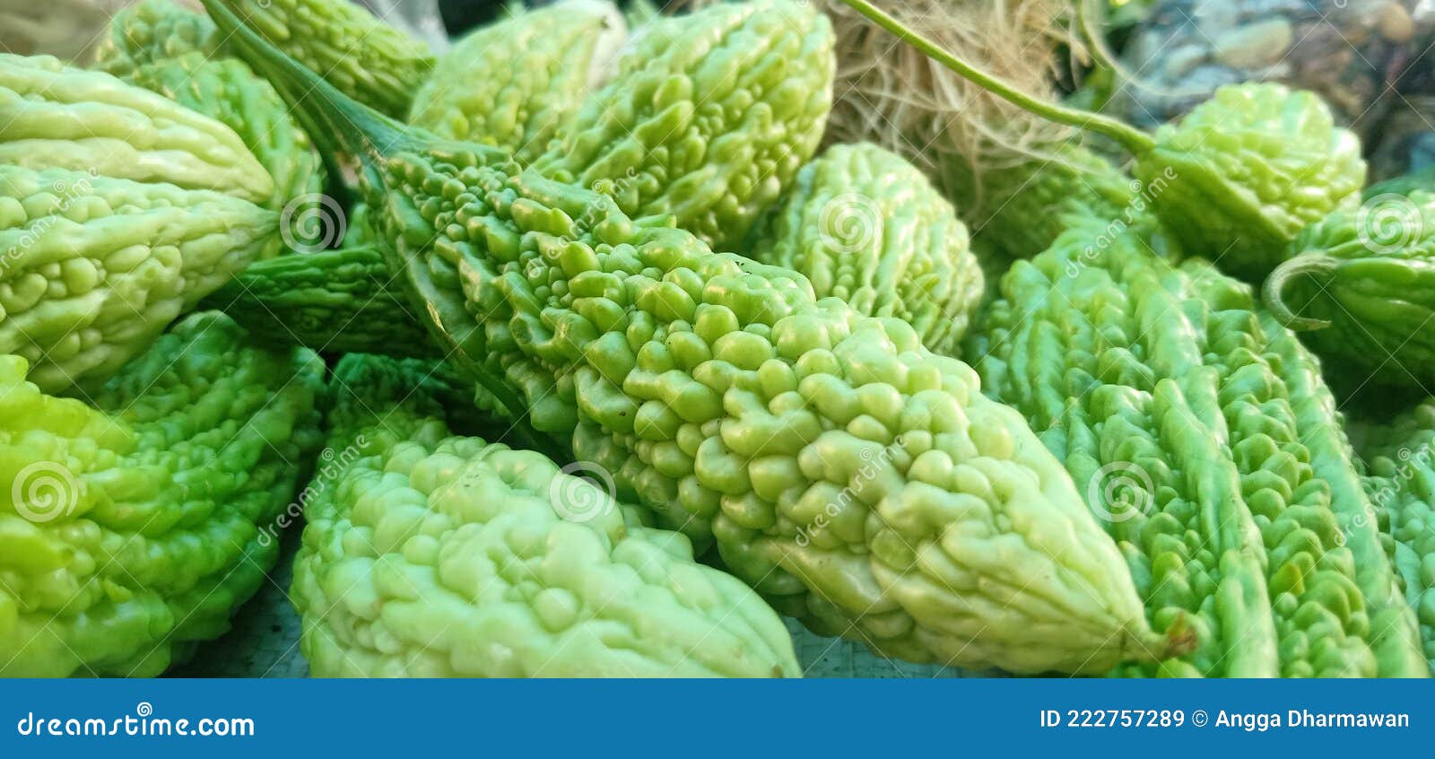 A pare pare stock image. Image of vegetable, fruits - 222757289