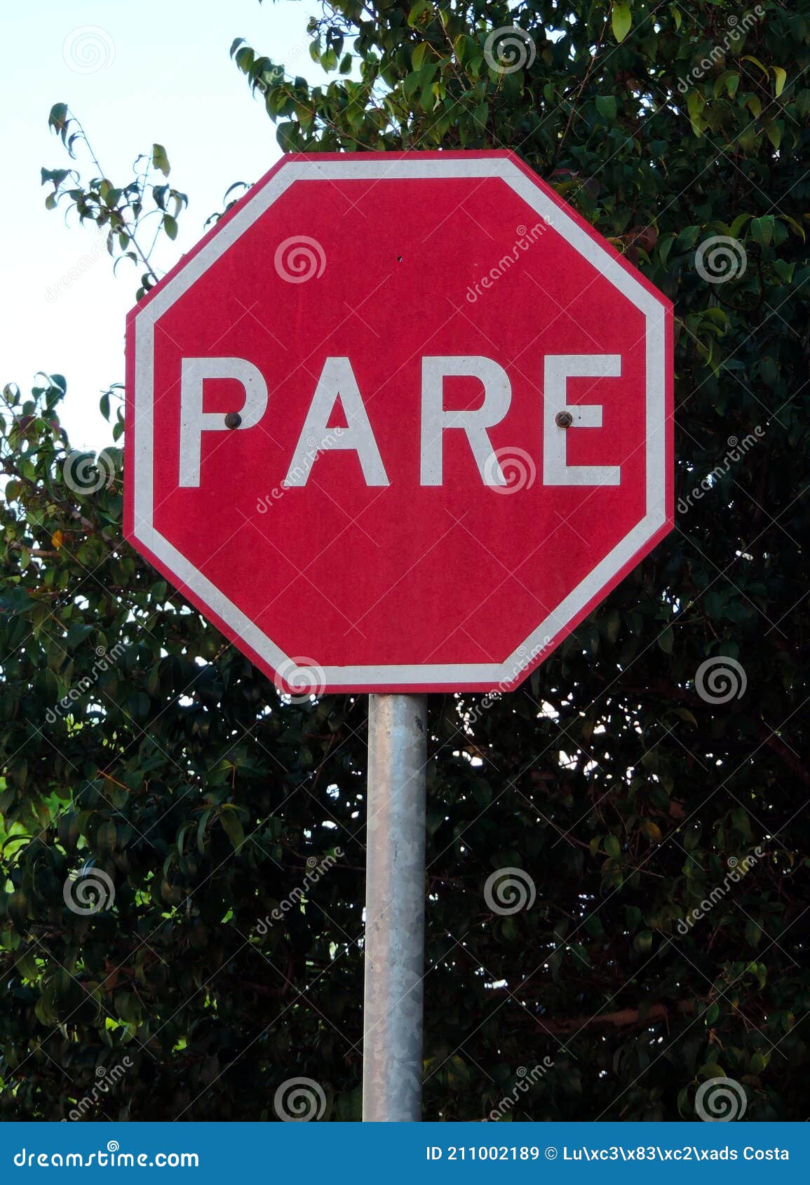 Pare Traffic Sign stock image. Image of halt, transportation - 211002189