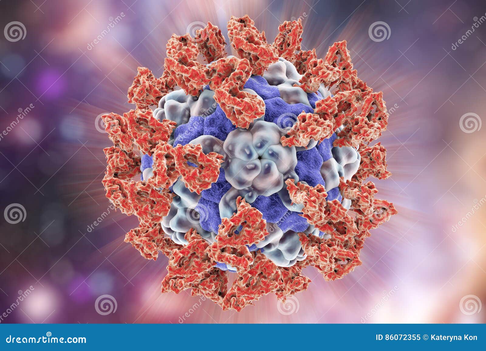 Parechovirus with Attached Integrin Molecules Stock Illustration ...