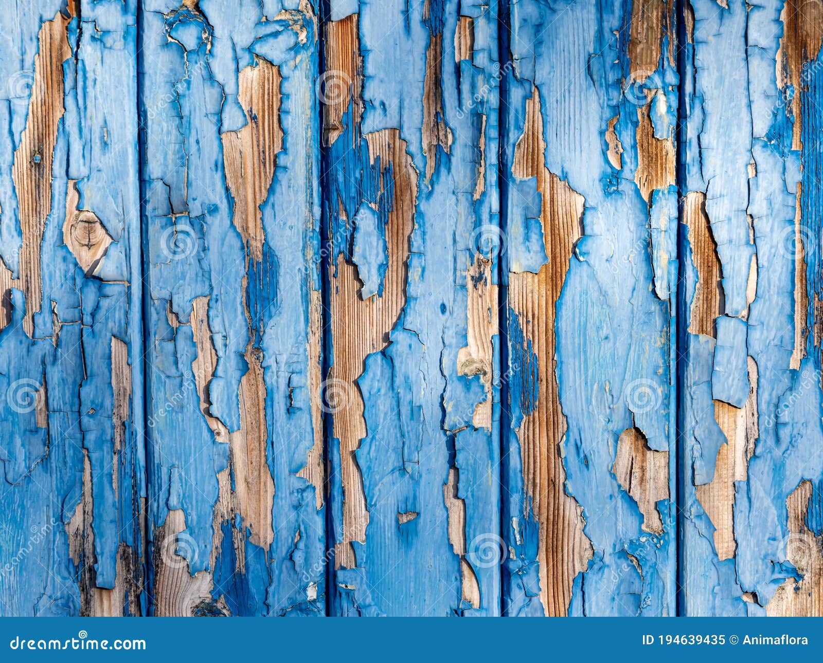 Pared Azul De Madera Que Se Aleja Imagen de archivo - Imagen de renueve ...