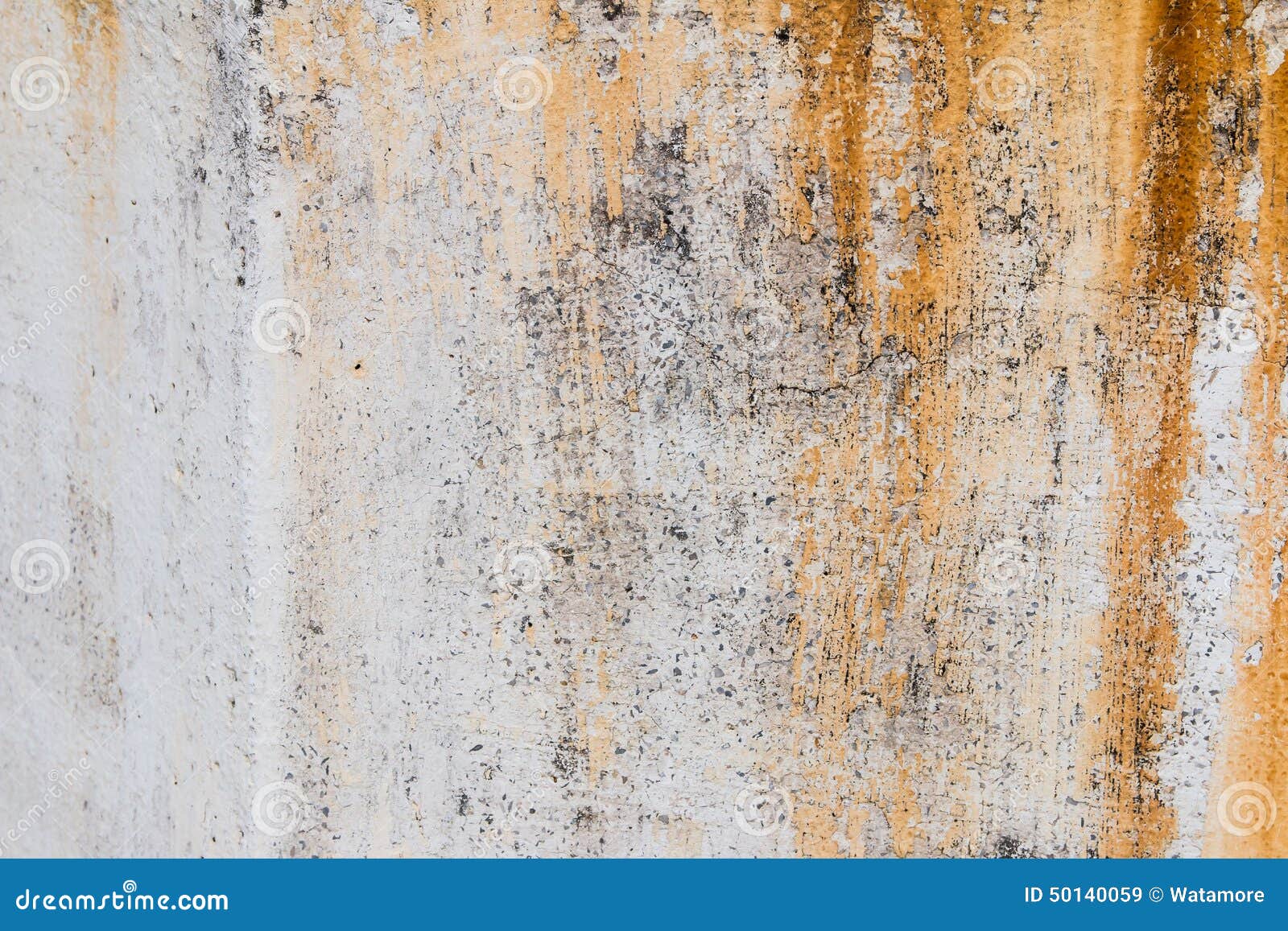 Pared con textura del moho imagen de archivo. Imagen de fondo - 50140059