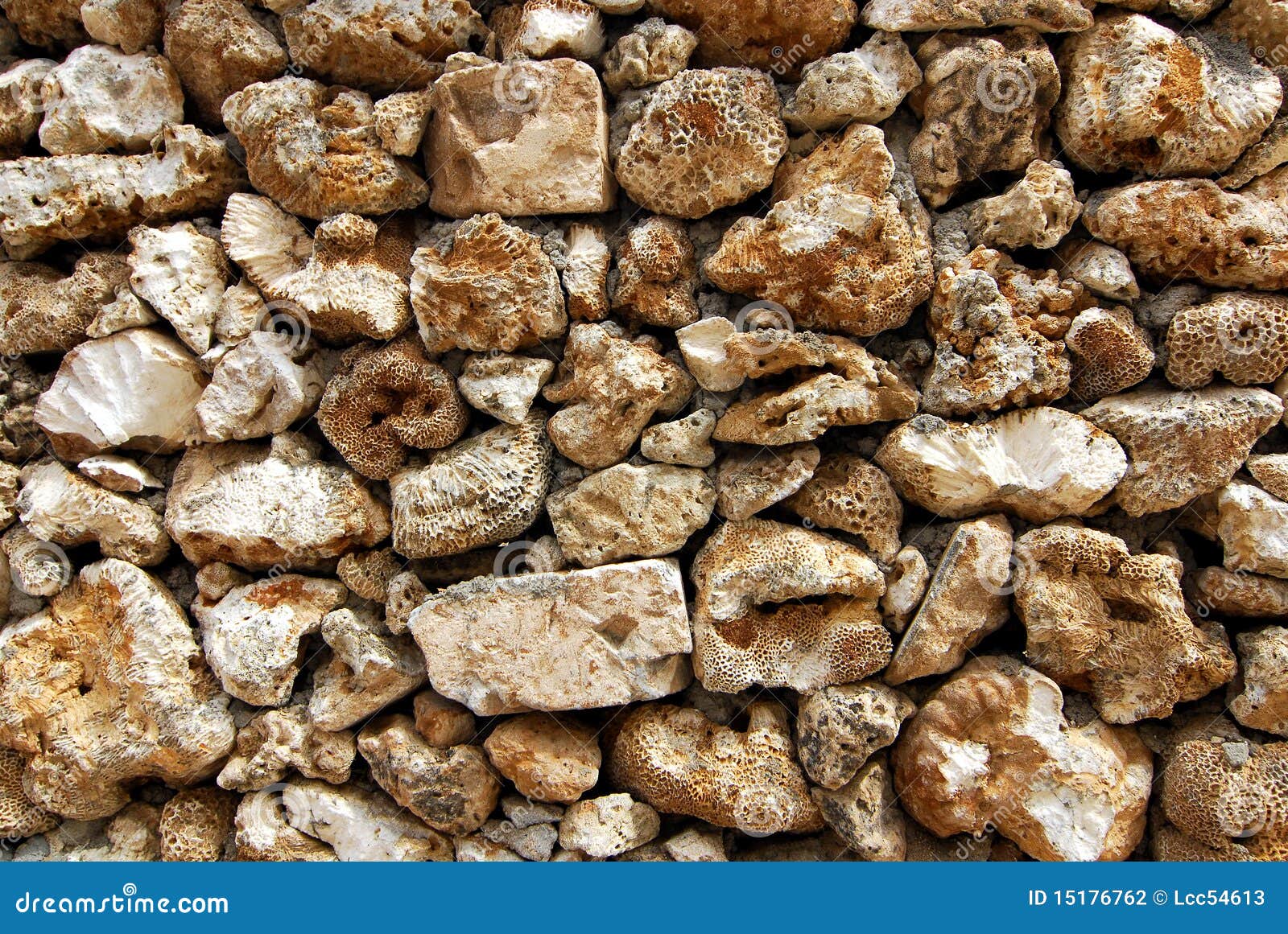 Pared coralina de la roca foto de archivo. Imagen de granito - 15176762