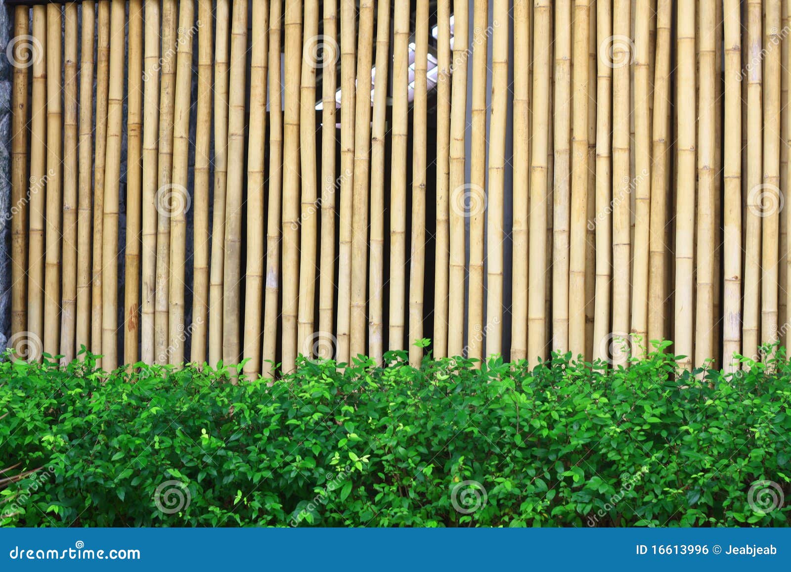 Pared de bambú foto de archivo. Imagen de verde, ordinario - 16613996