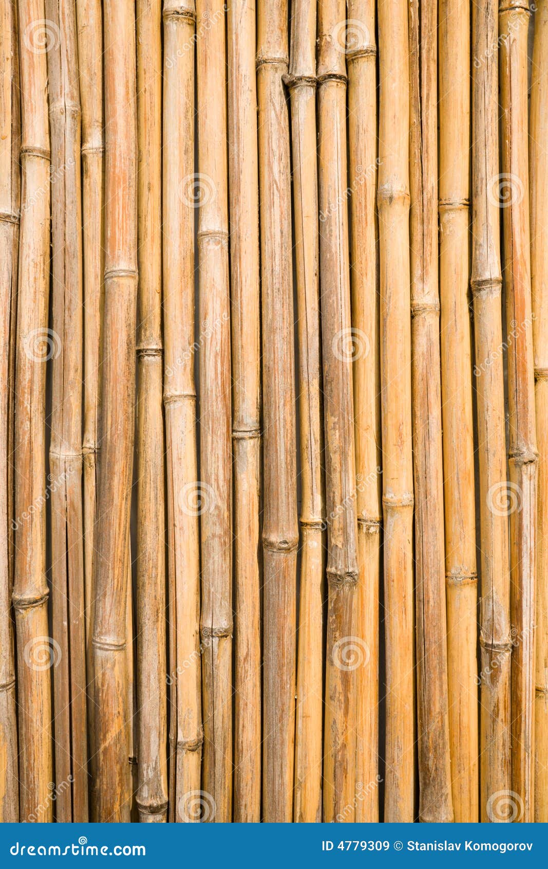 Pared de bambú. imagen de archivo. Imagen de macro, cerca - 4779309