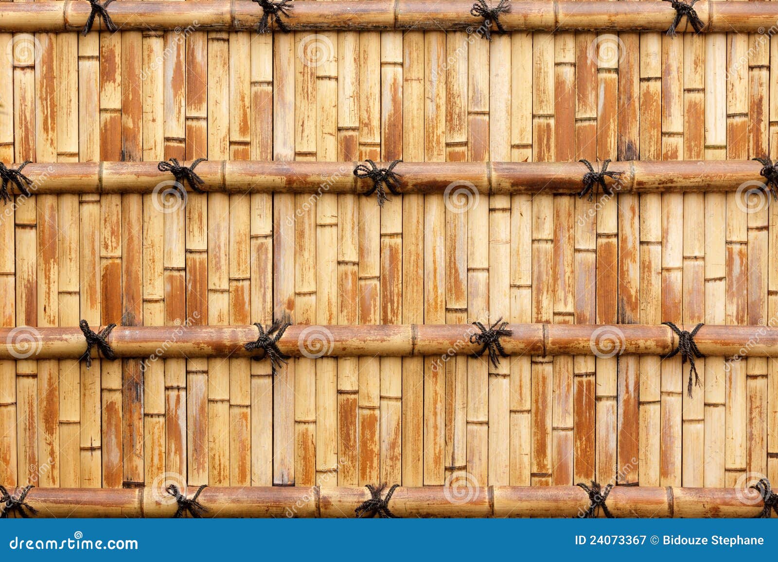 Pared de bambú natural imagen de archivo. Imagen de corteza - 24073367