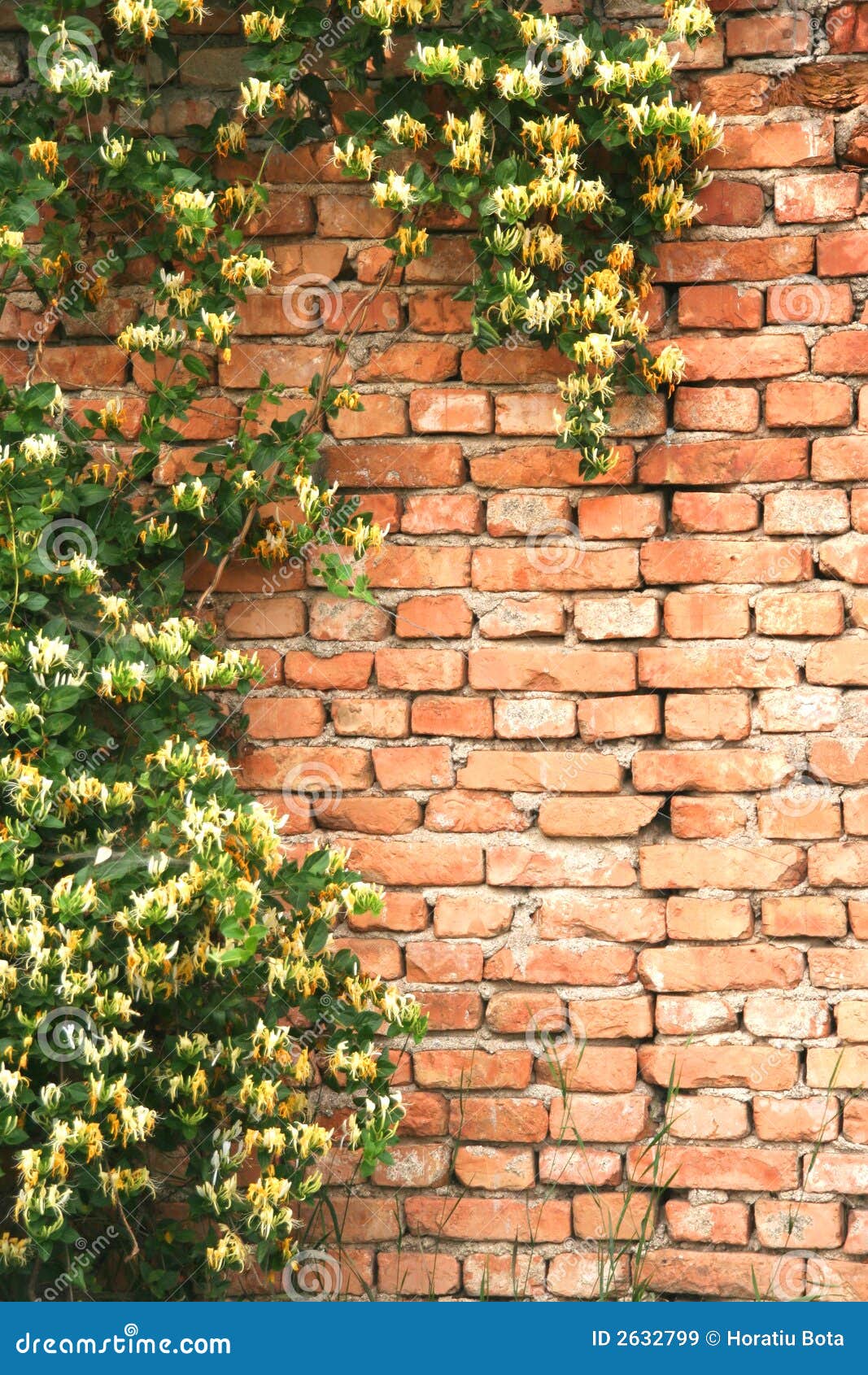 Pared rústica imagen de archivo. Imagen de vecindad, aislado - 2632799
